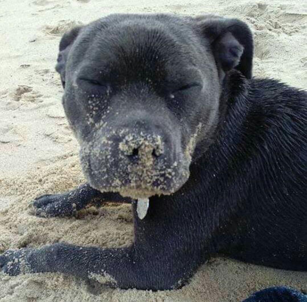 Misty At The Beach Scrolller
