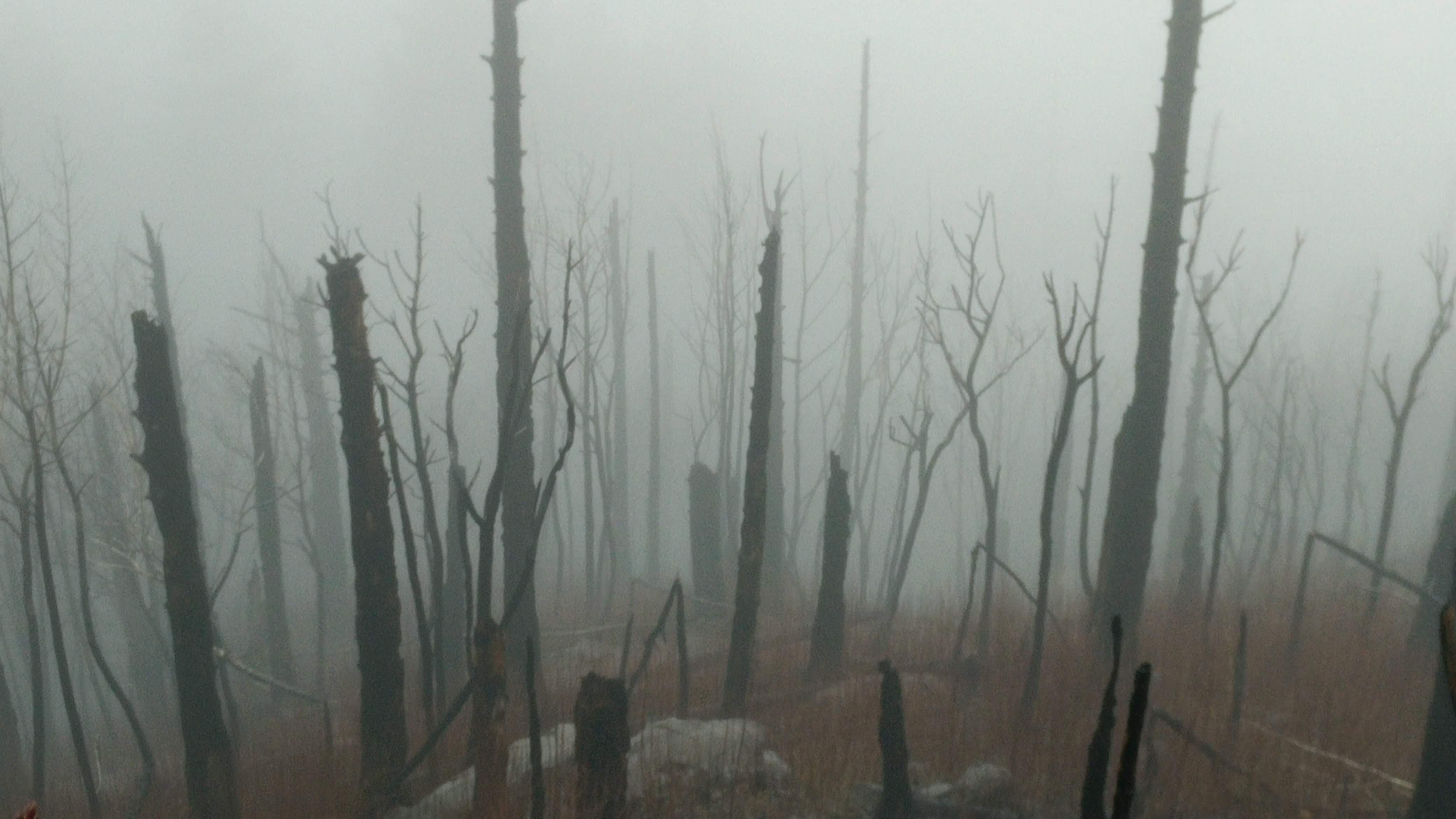 Misty Morning Scrolller
