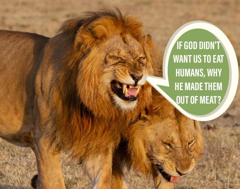 Mmmmm.... human! | Scrolller