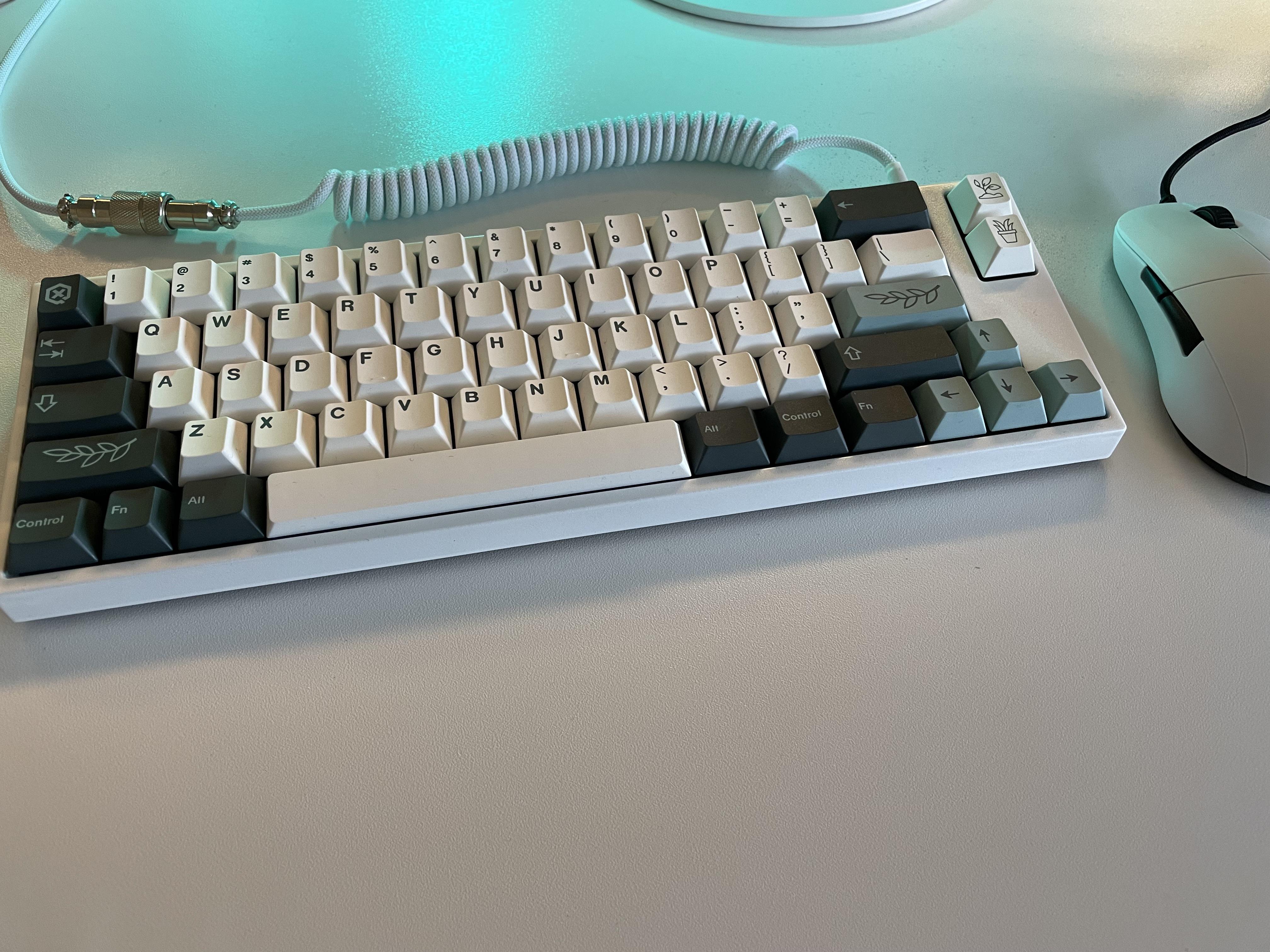 Modded the leopold FC660 white to match the desk setup - thoughts ...
