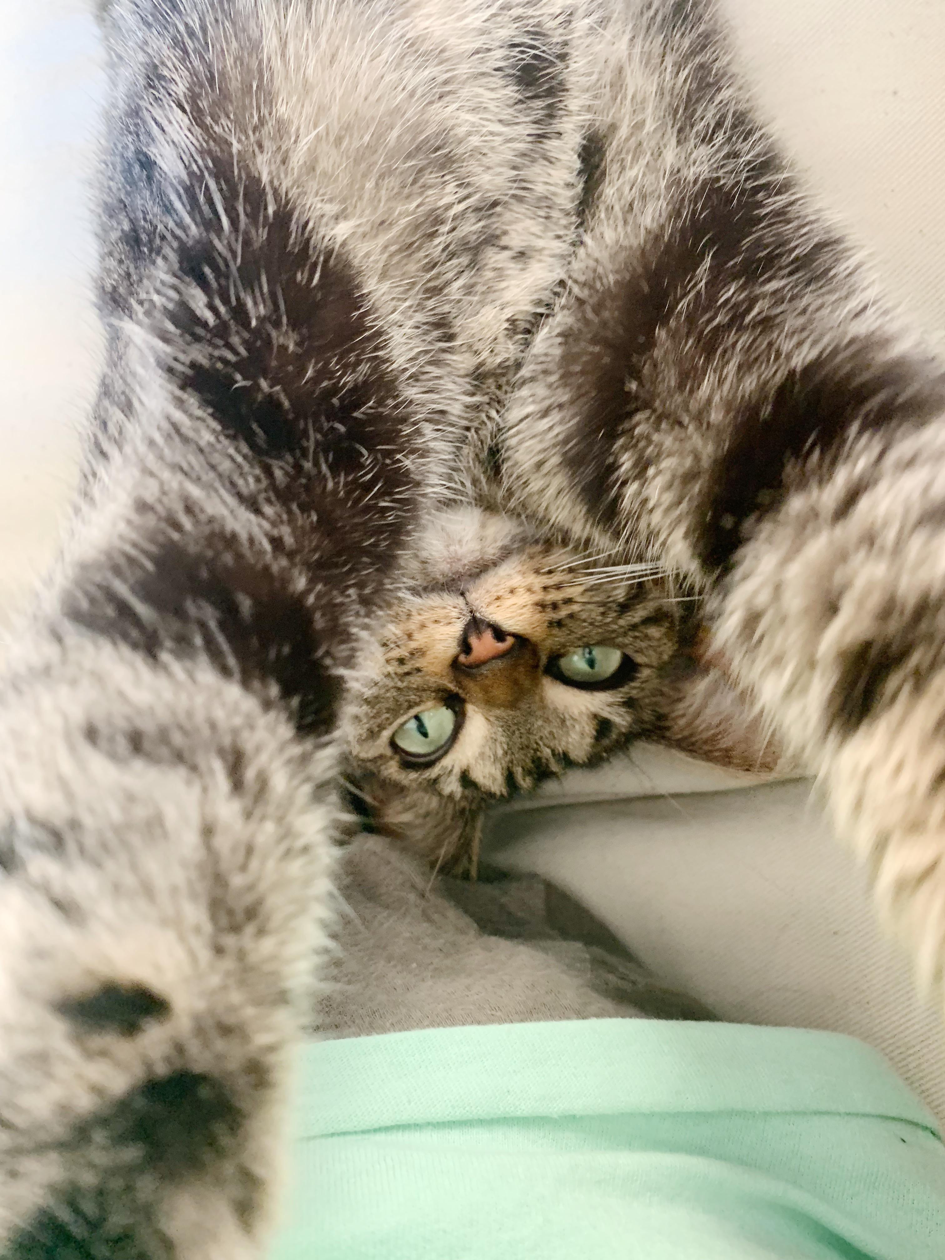 Mom! Mom! Look at my feetsies!! | Scrolller