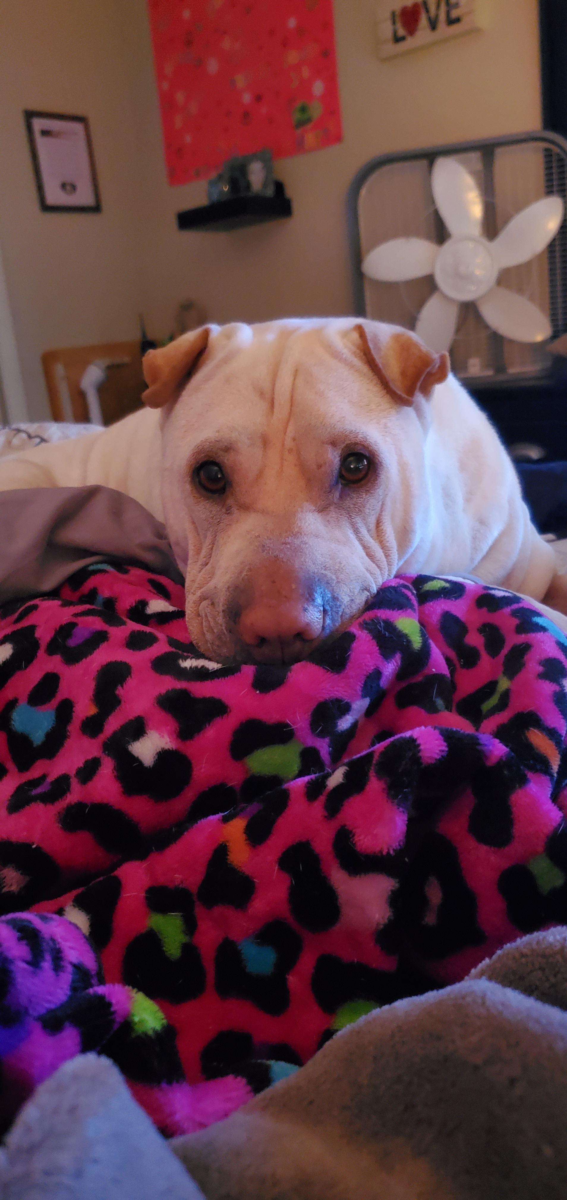 "Mom, put the phone down so we can go to sleep!!!" | Scrolller