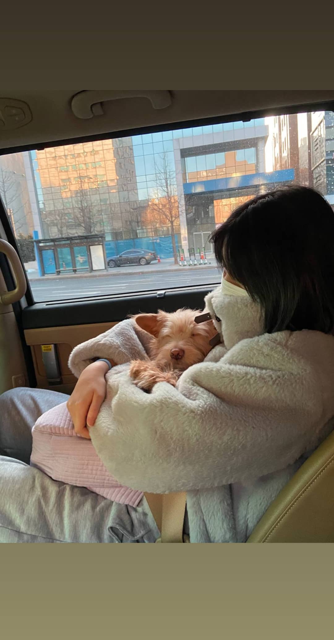 Momo and Dobby | Scrolller