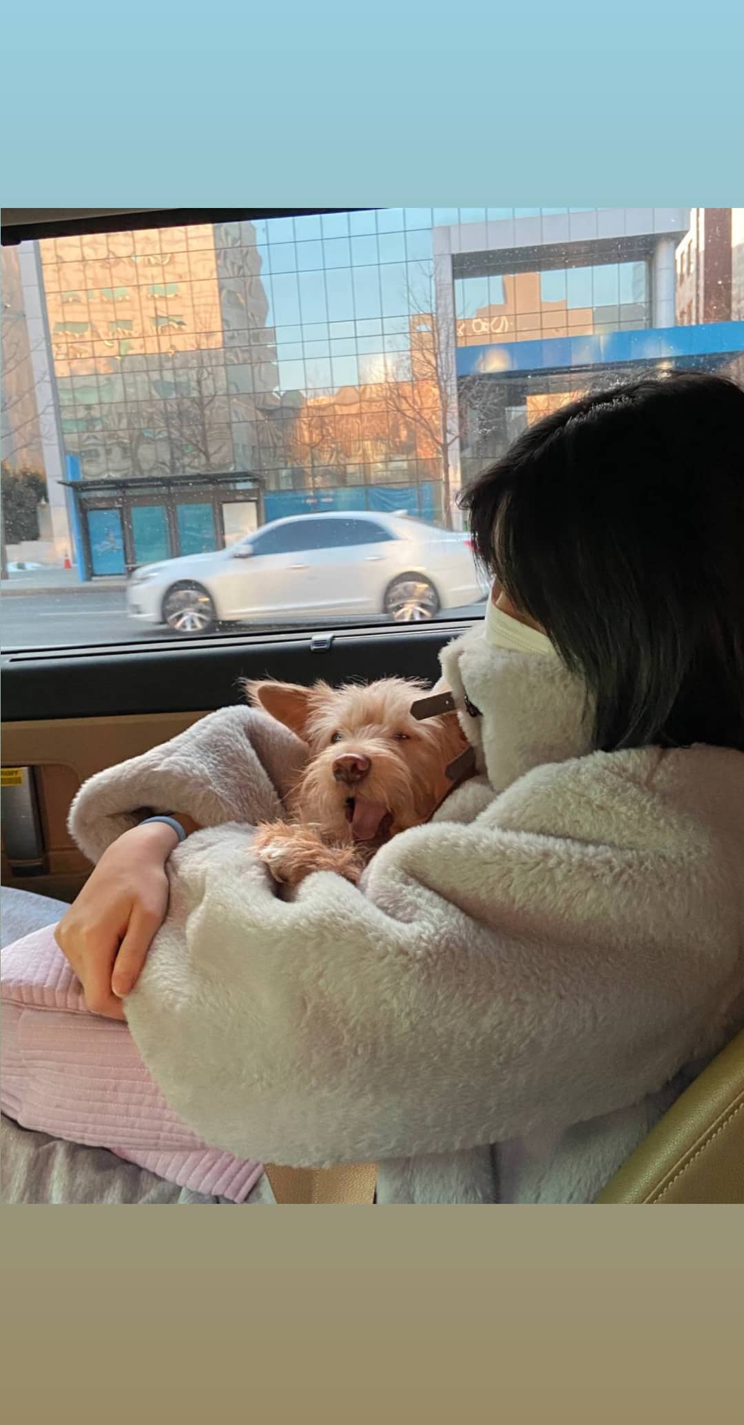 Momo and Dobby | Scrolller