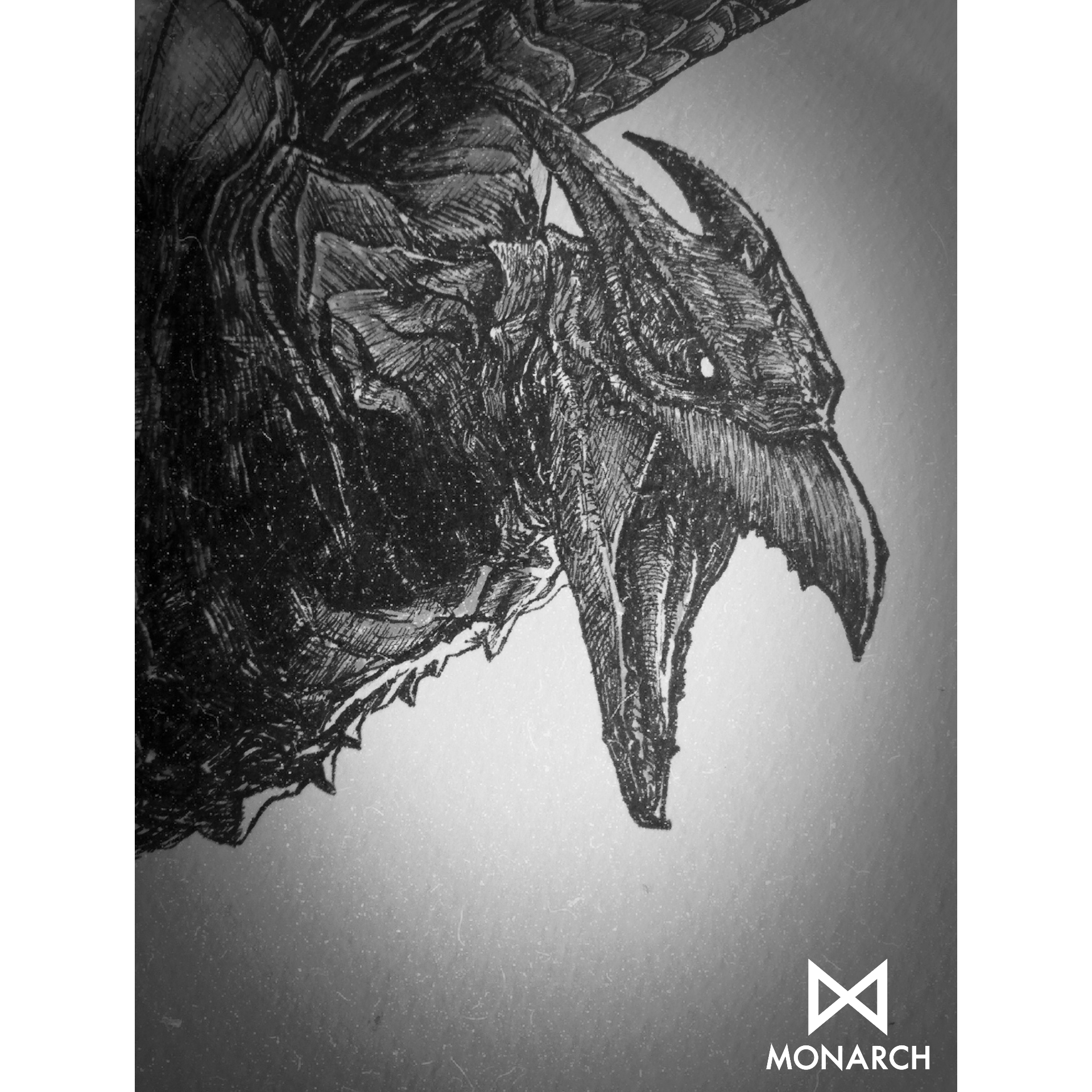 ⋈ MONARCH specimen: TITANUS RODAN ⋈ | Scrolller