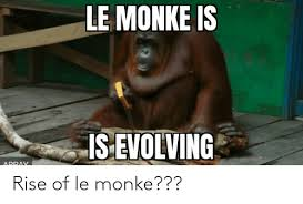 Monke Evolution | Scrolller