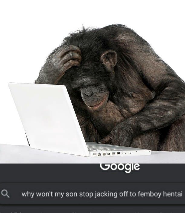 Monke on computer #9 | Scrolller