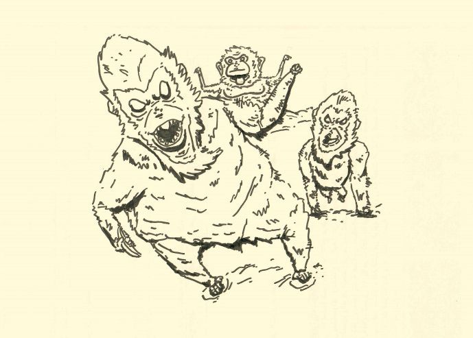 monkey 🐒 | Scrolller