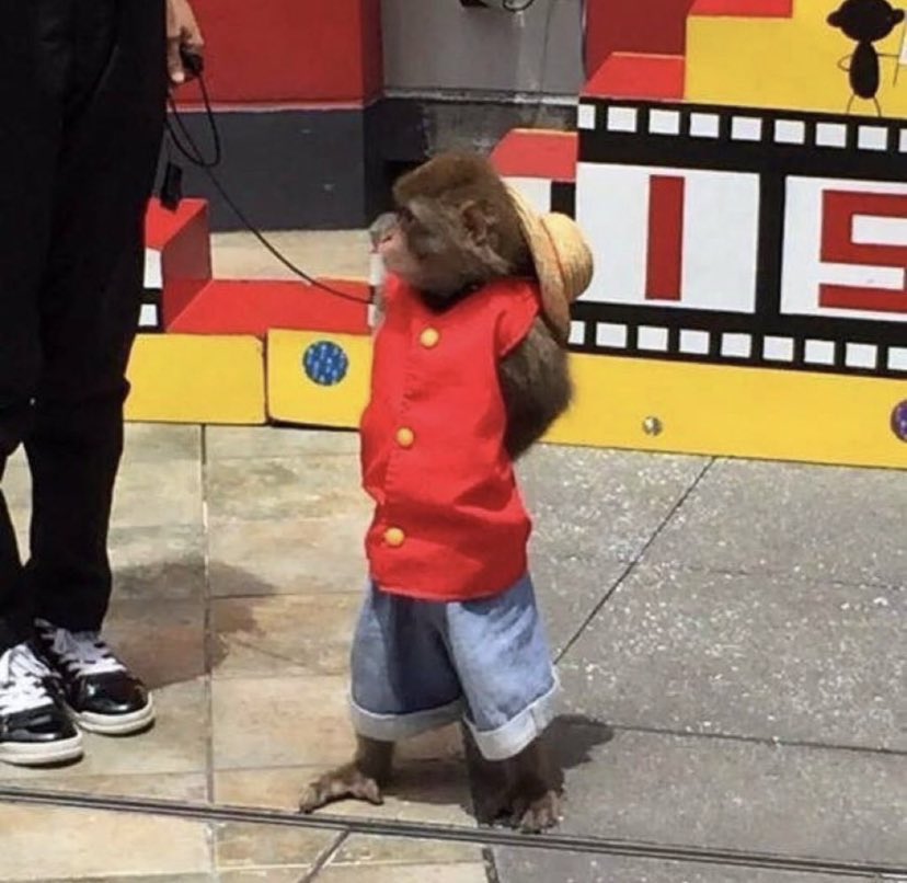 Monkey D. Monkey | Scrolller