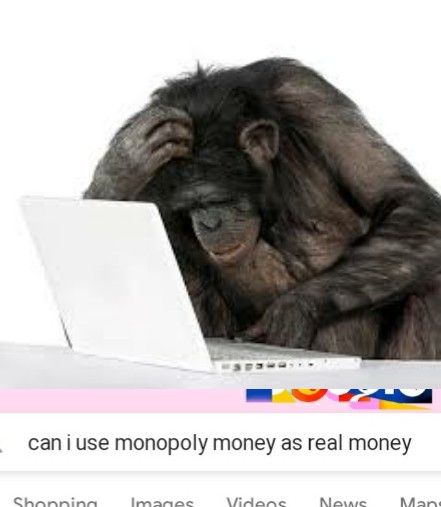 Monkey on computer #12 | Scrolller