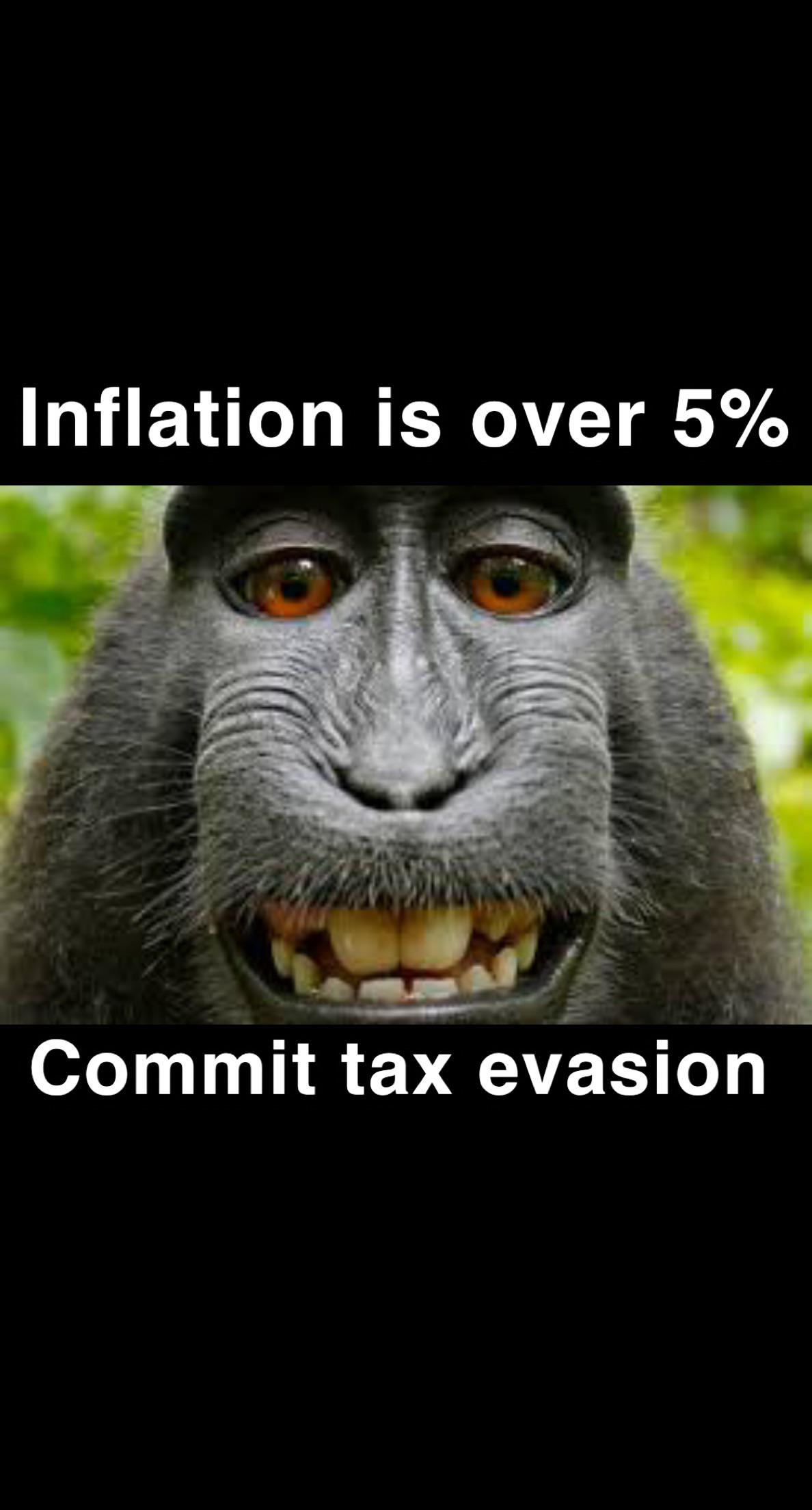 Monkey say monkey do | Scrolller