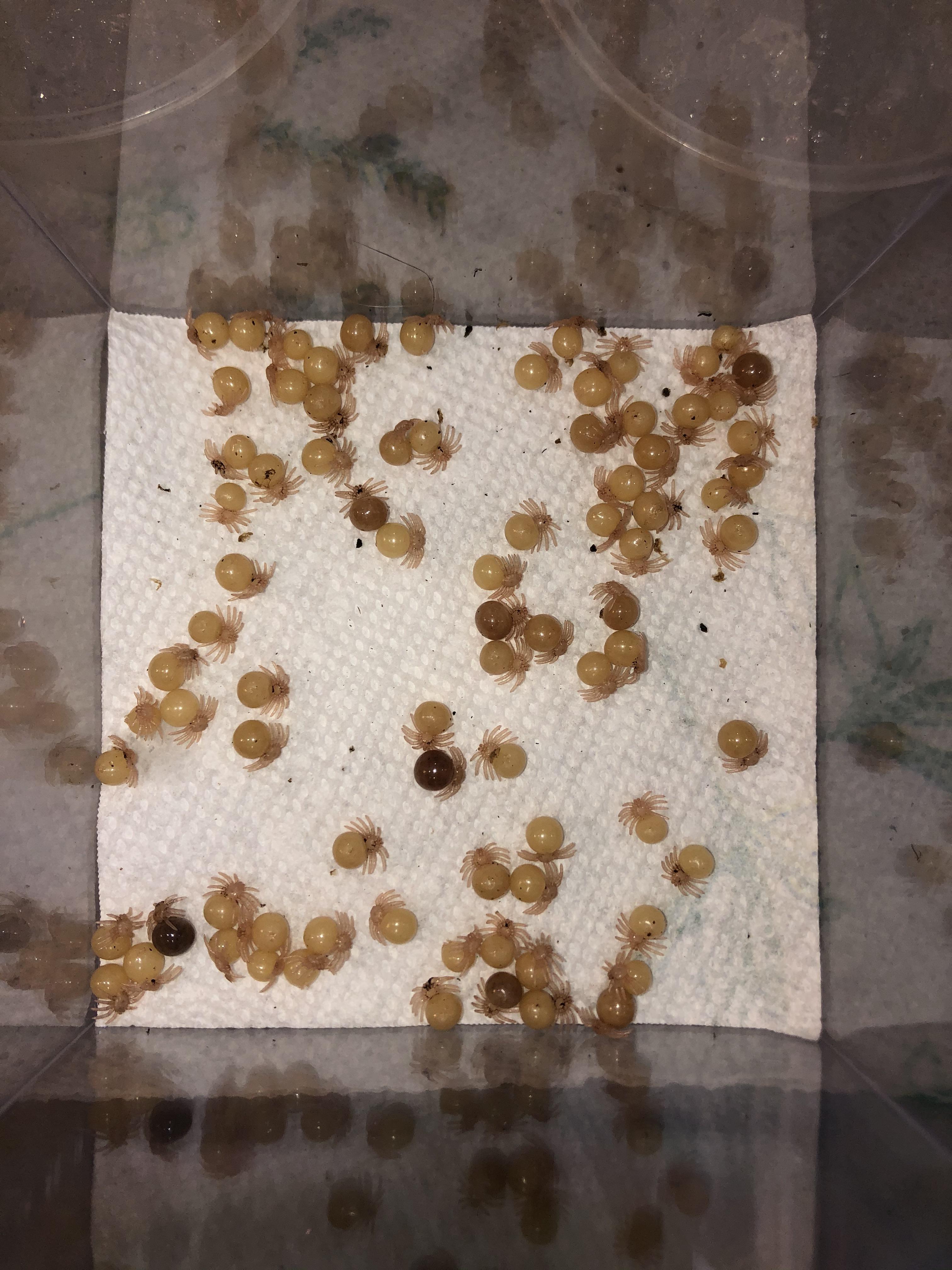 More babies! | Scrolller