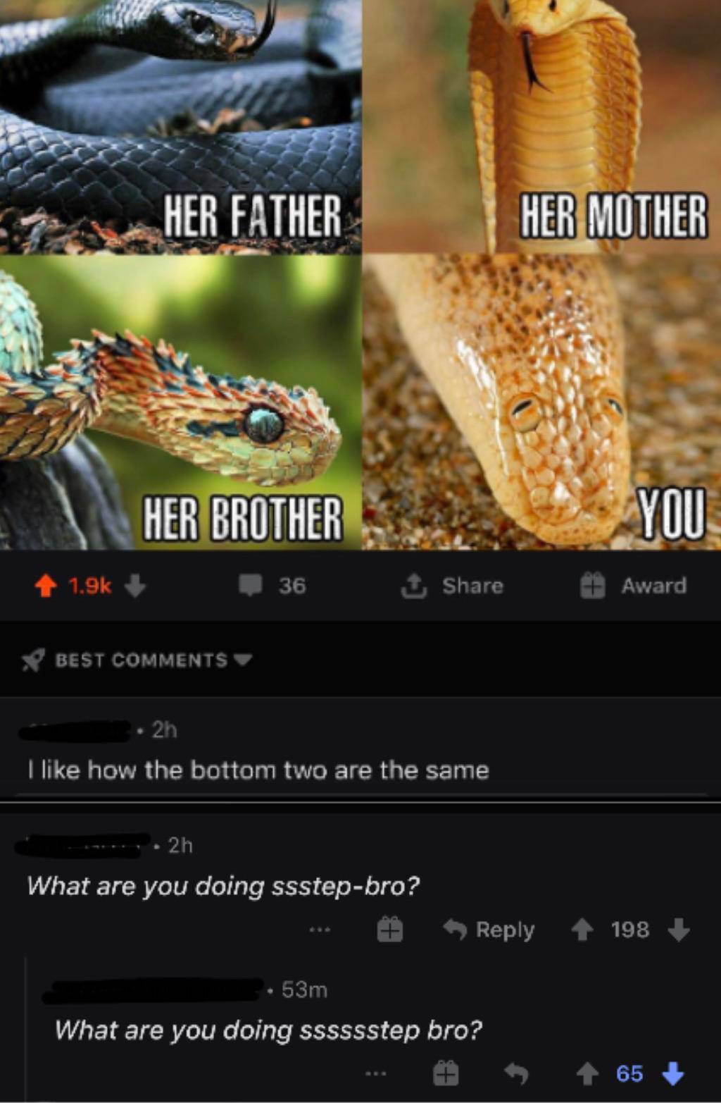 More S’s makes it funnier apparently | Scrolller