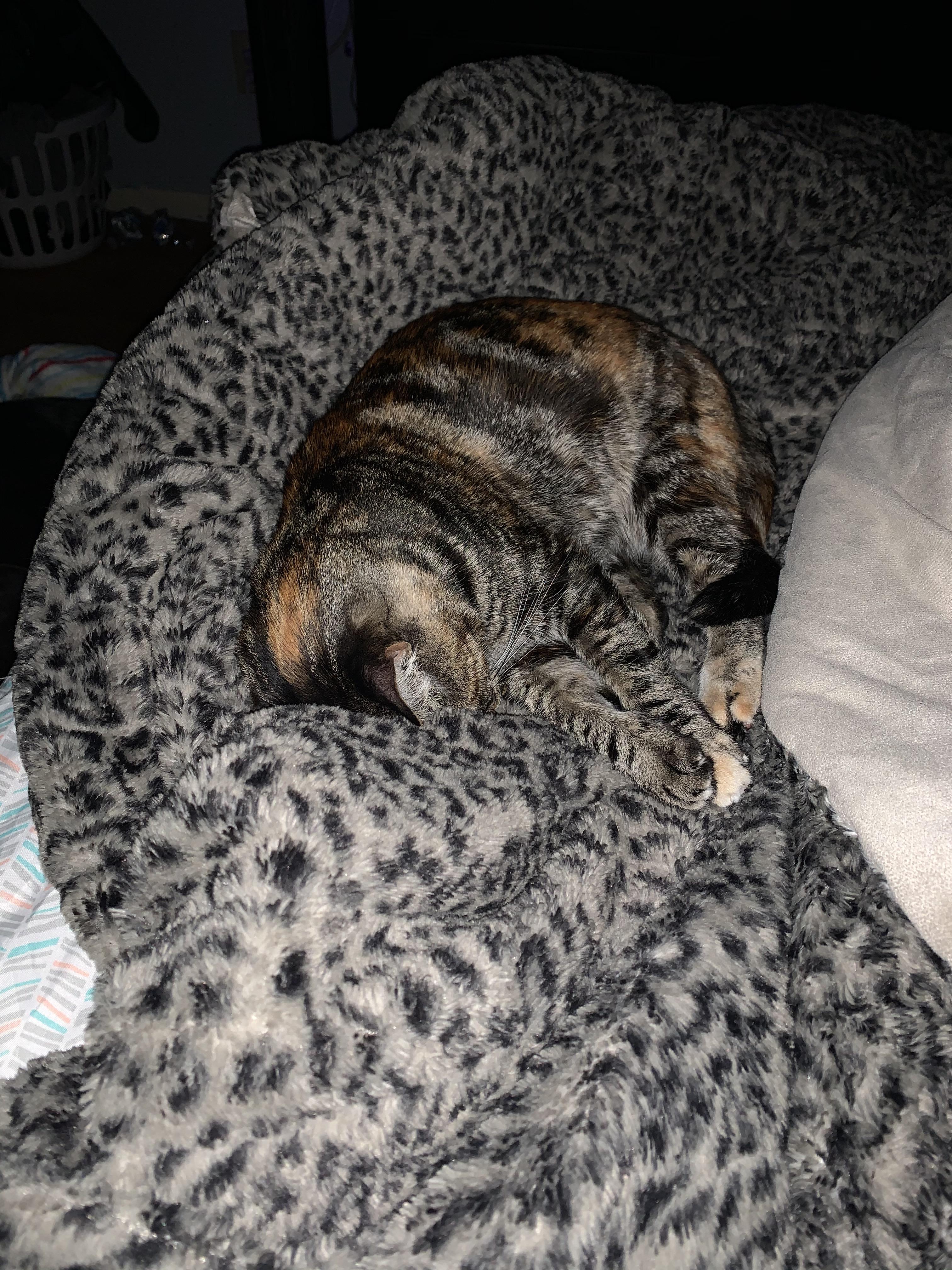 Morning smush. | Scrolller