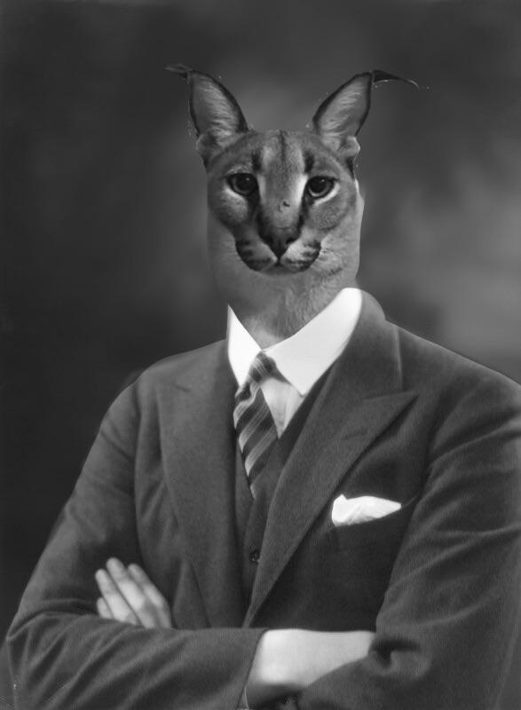 Mosley Floppa | Scrolller