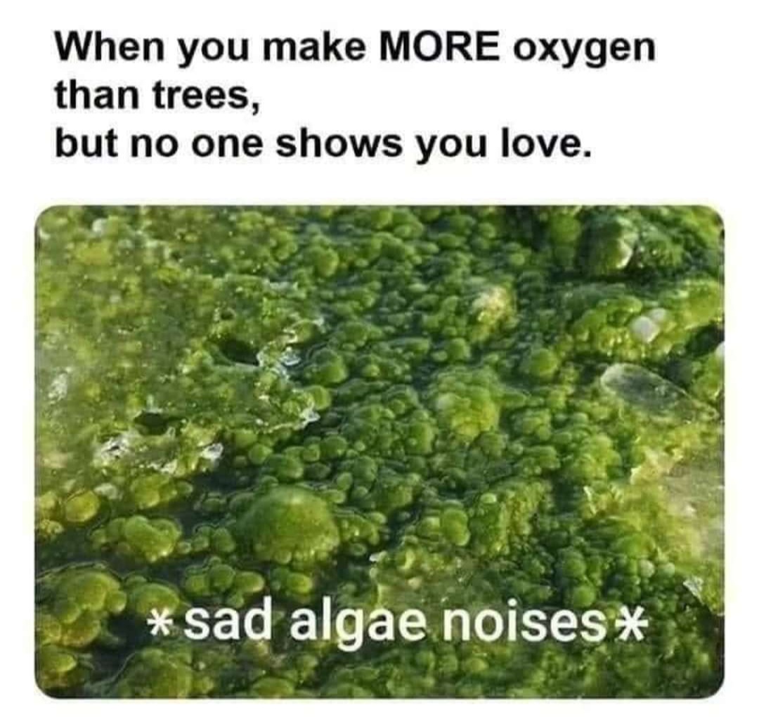 Mosses making the same noise too . Anyway , i love you algae . Now gimme a slimy slimy hug . YOU ...