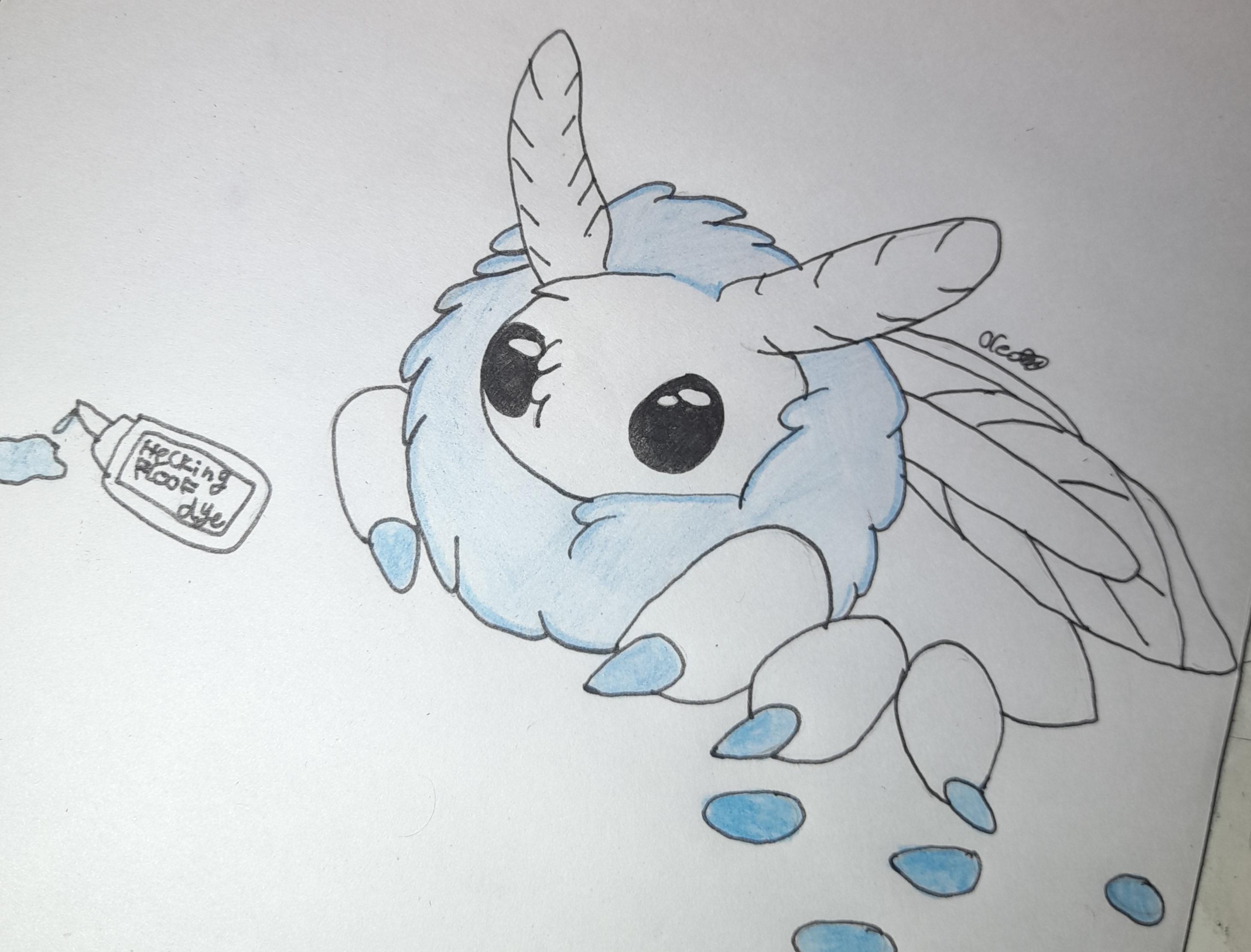 moth_irl | Scrolller