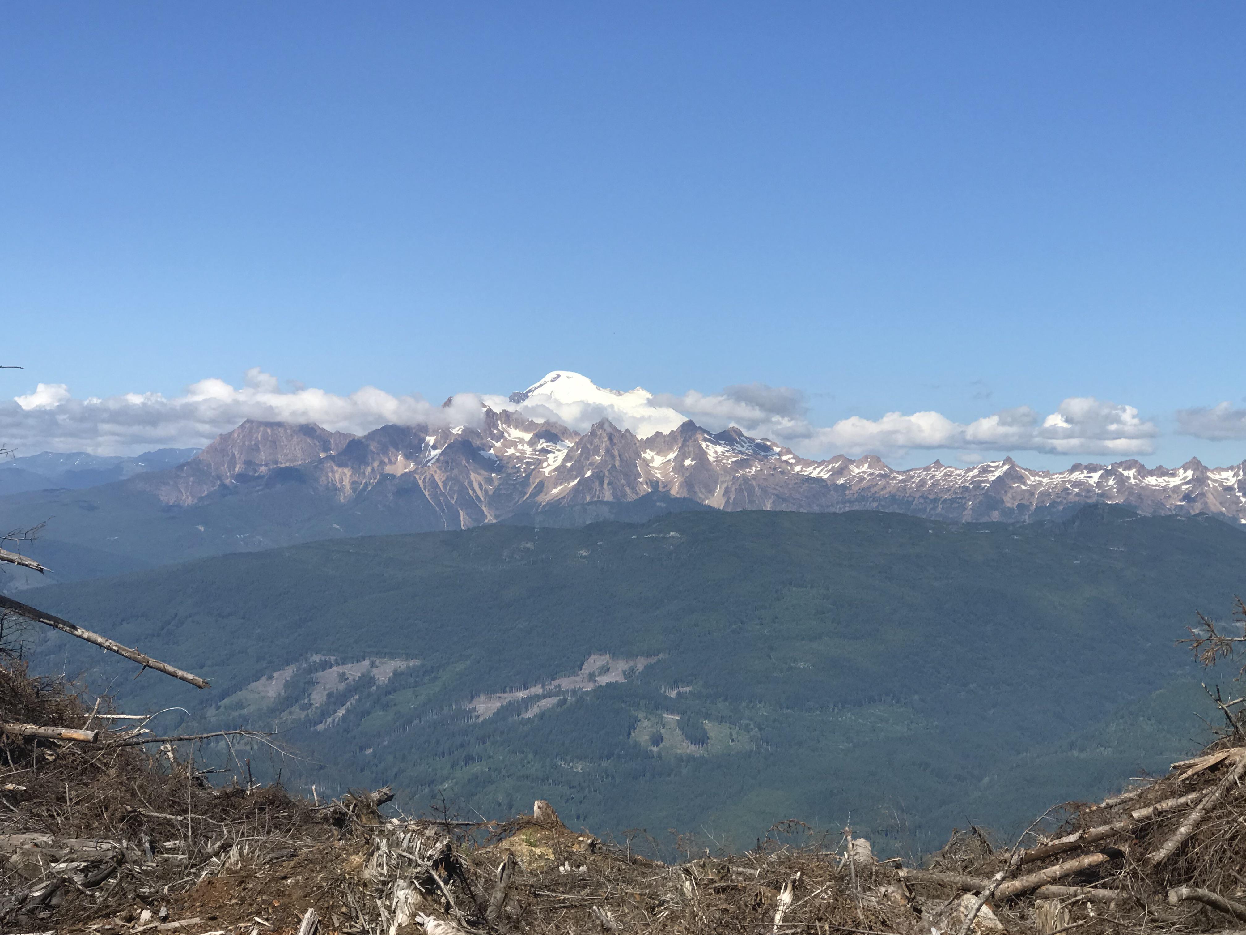 Mount Baker, the Sisters and the Cascade Crest from the summit of Lyman Hill near Acme ...