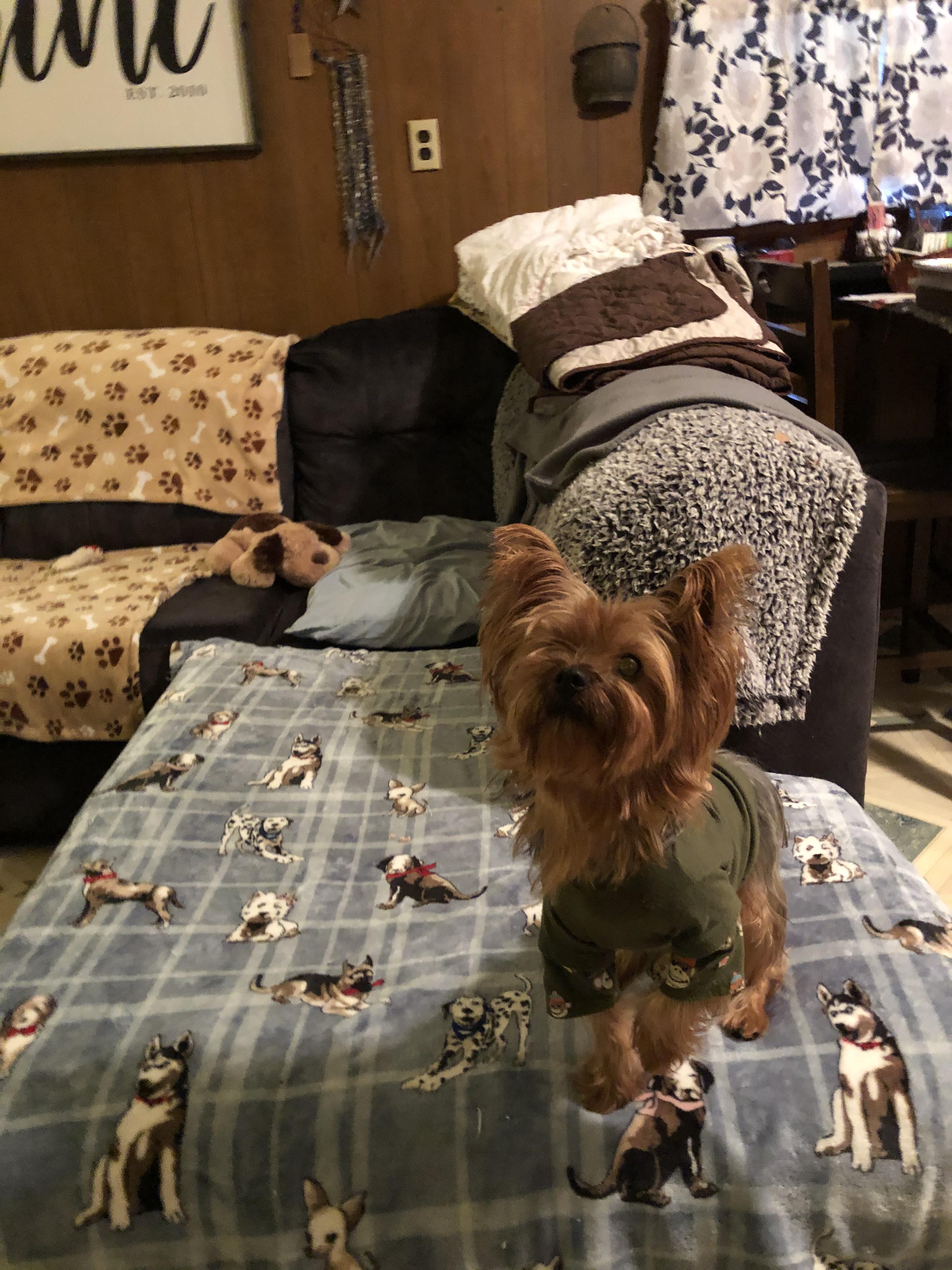 Mr Baxter sends his greetings... | Scrolller