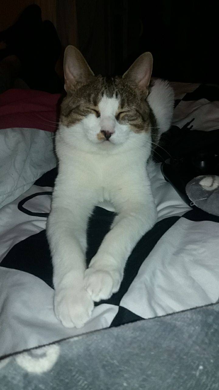 Mr. Ted and his stache | Scrolller