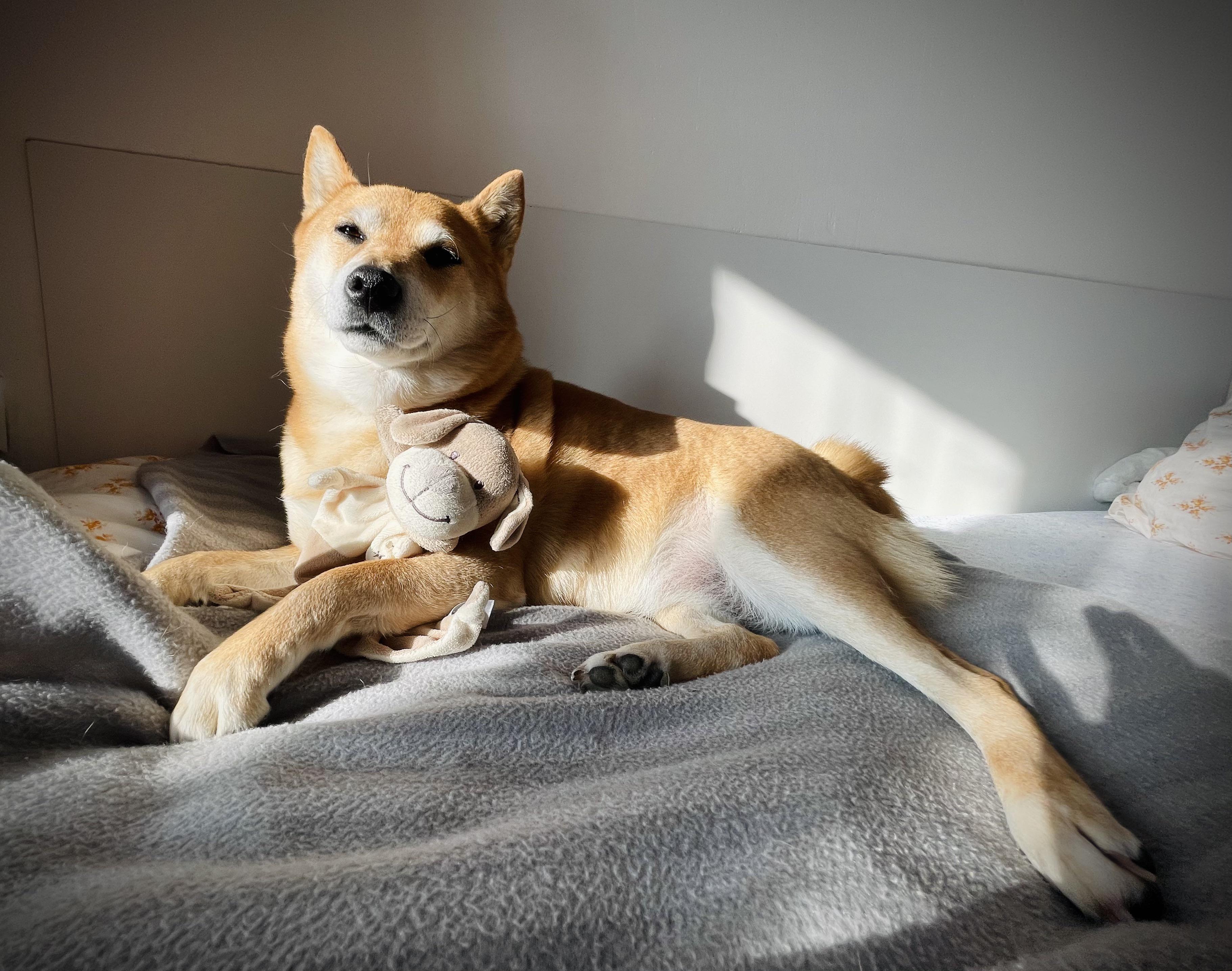 Ms Long Legs Scrolller