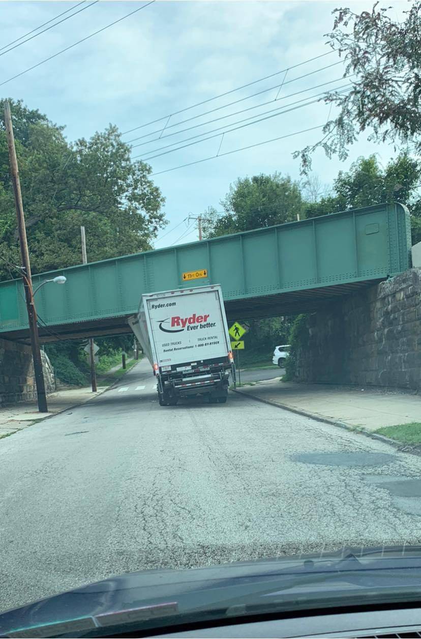 Mt Airy Philadelphia just this morning | Scrolller