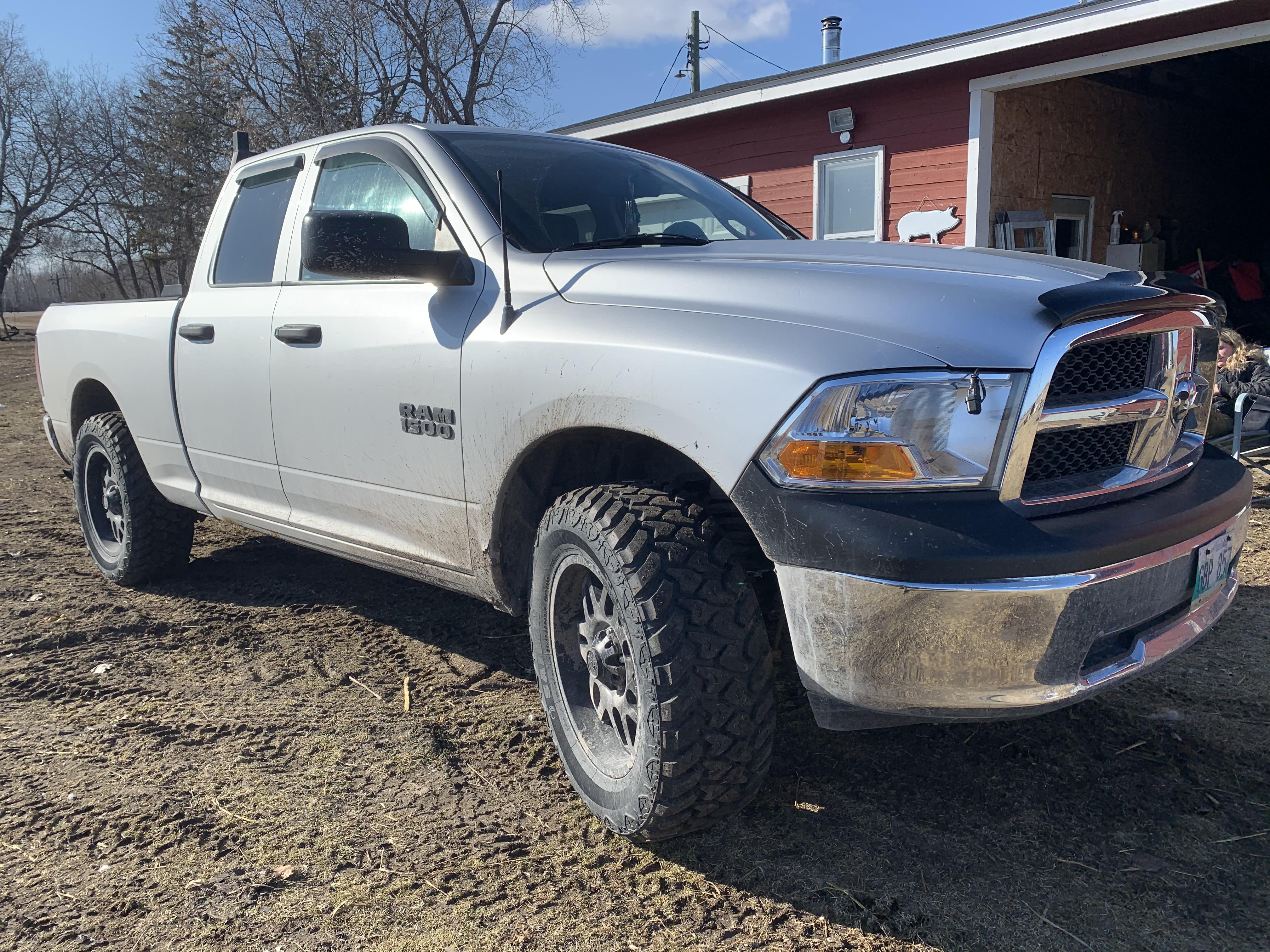 Muddy beast | Scrolller