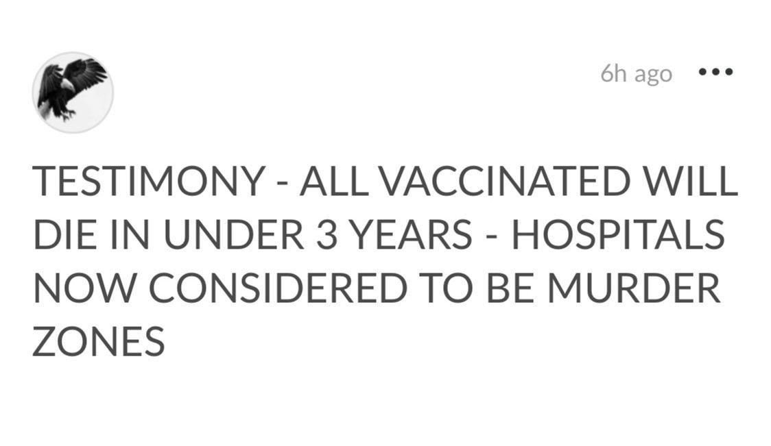 Murder Zones! | Scrolller