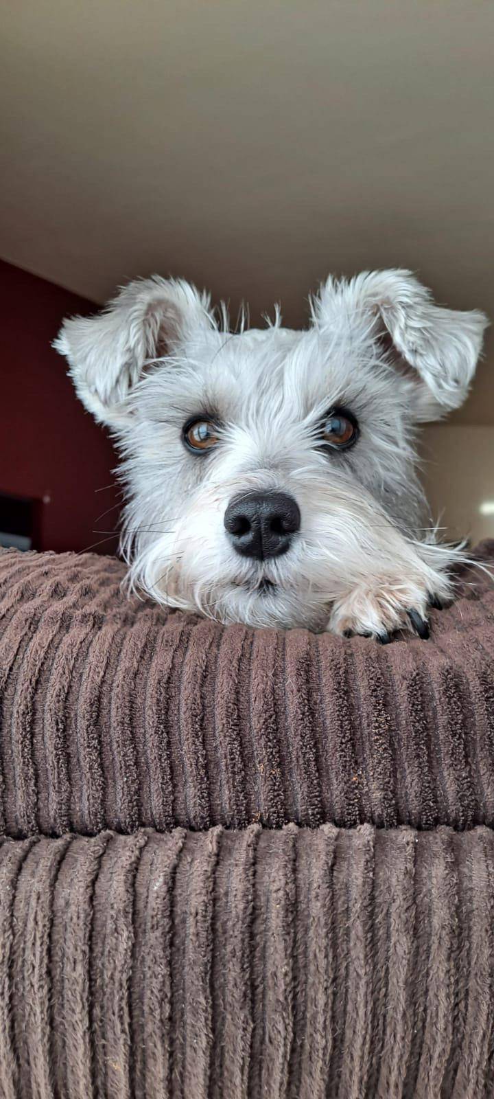 Murphy’s just hanging out | Scrolller