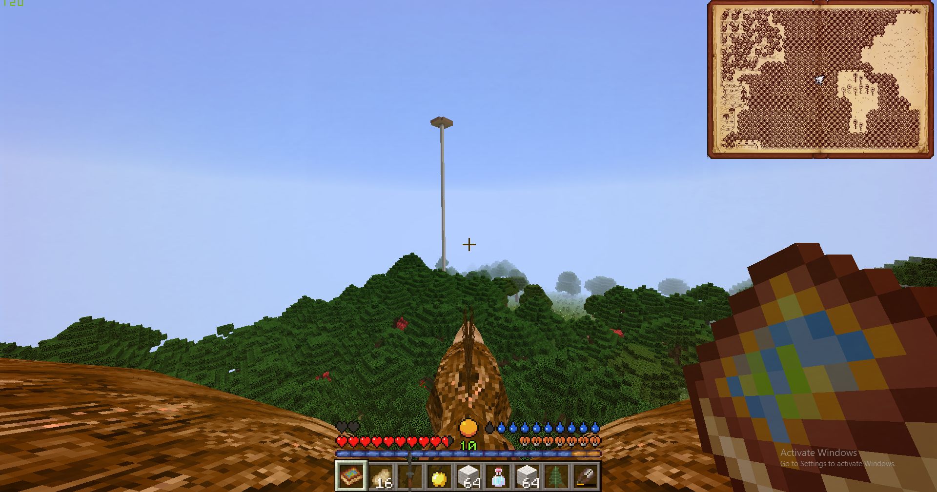 Mushroom | Scrolller