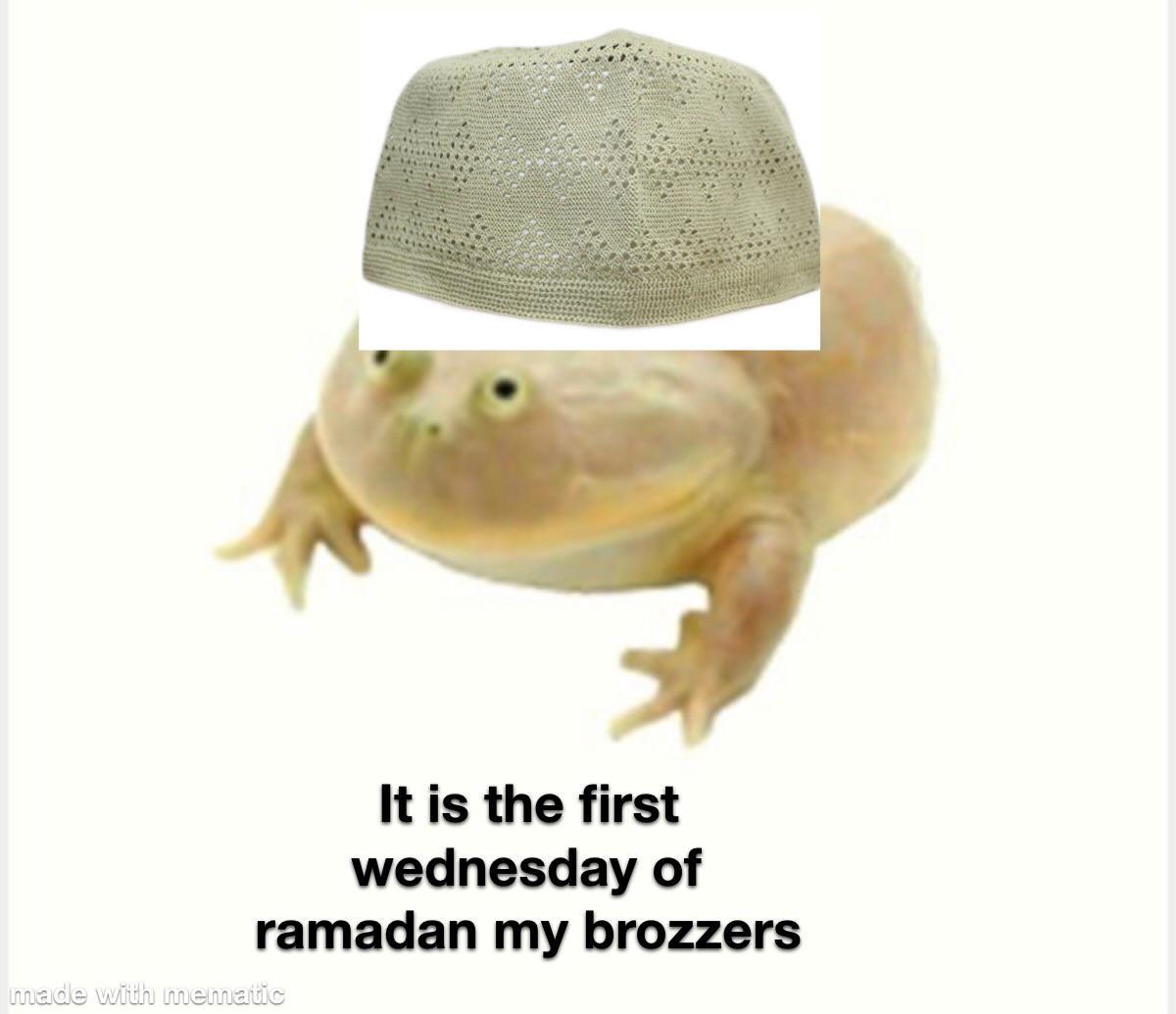 Muslim frog | Scrolller