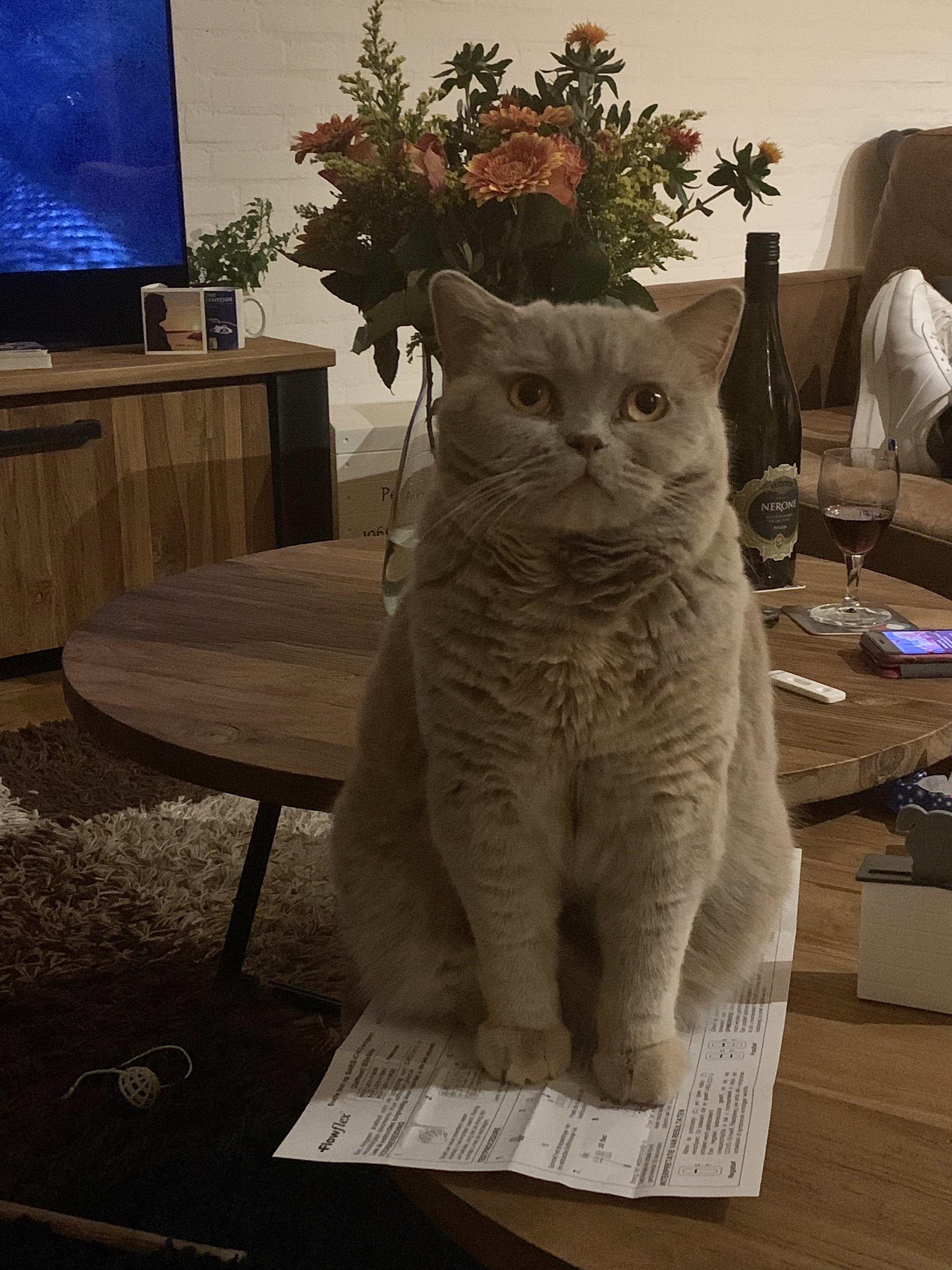 Must sit on the paper. | Scrolller