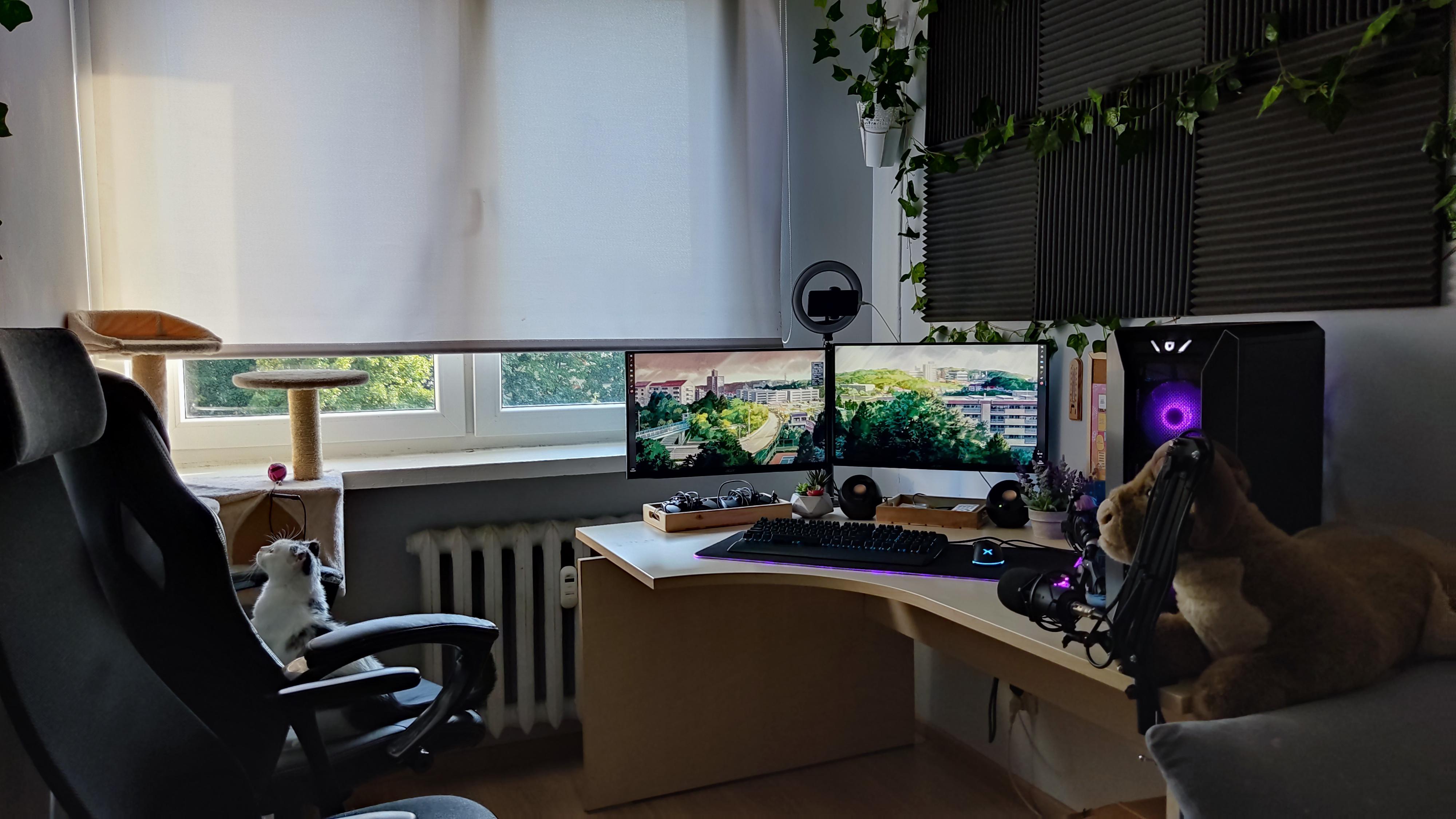 My (and Ronald) greenery space | Scrolller