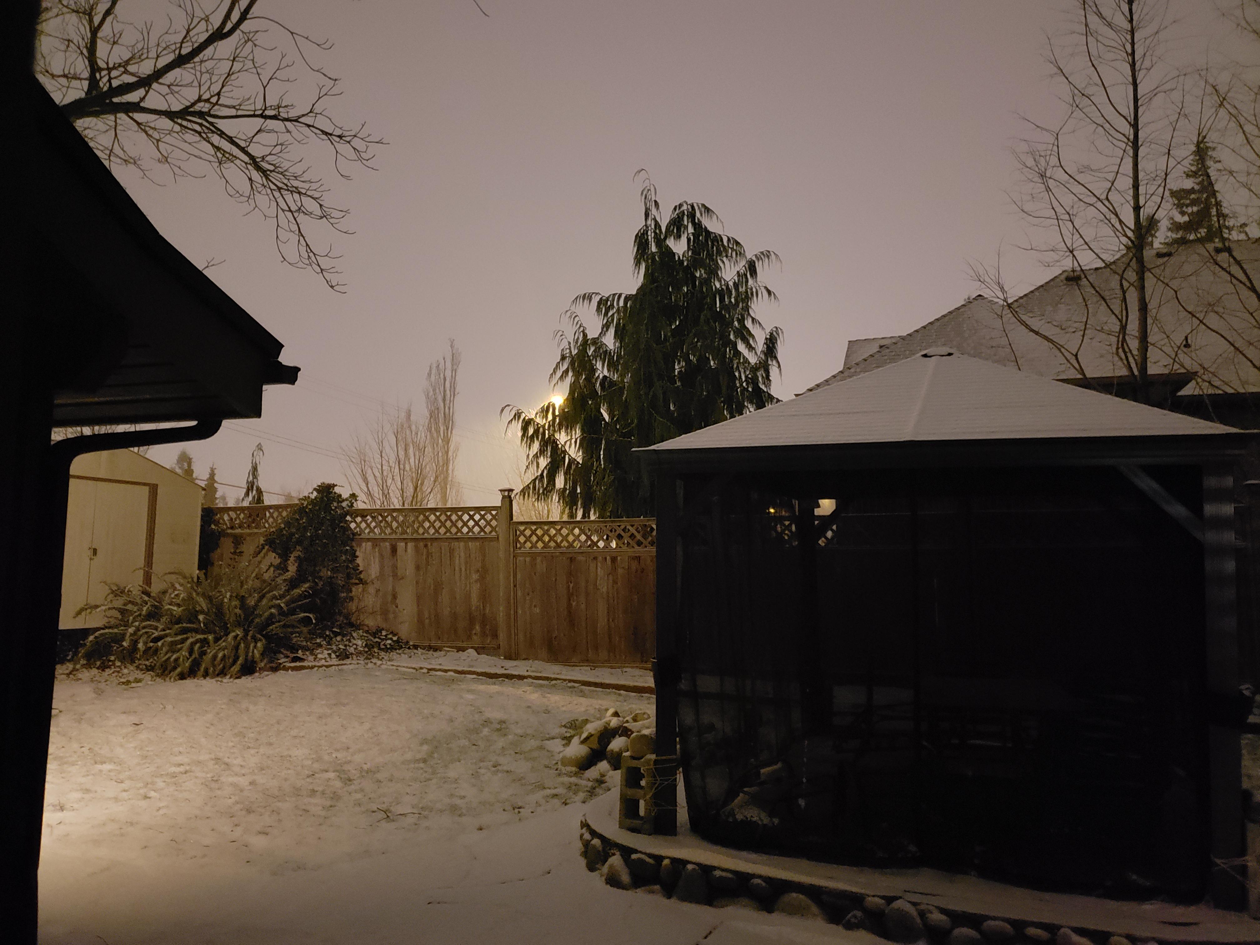 My backyard | Scrolller