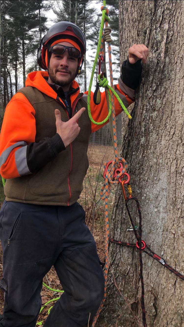 My basal anchor set up. | Scrolller