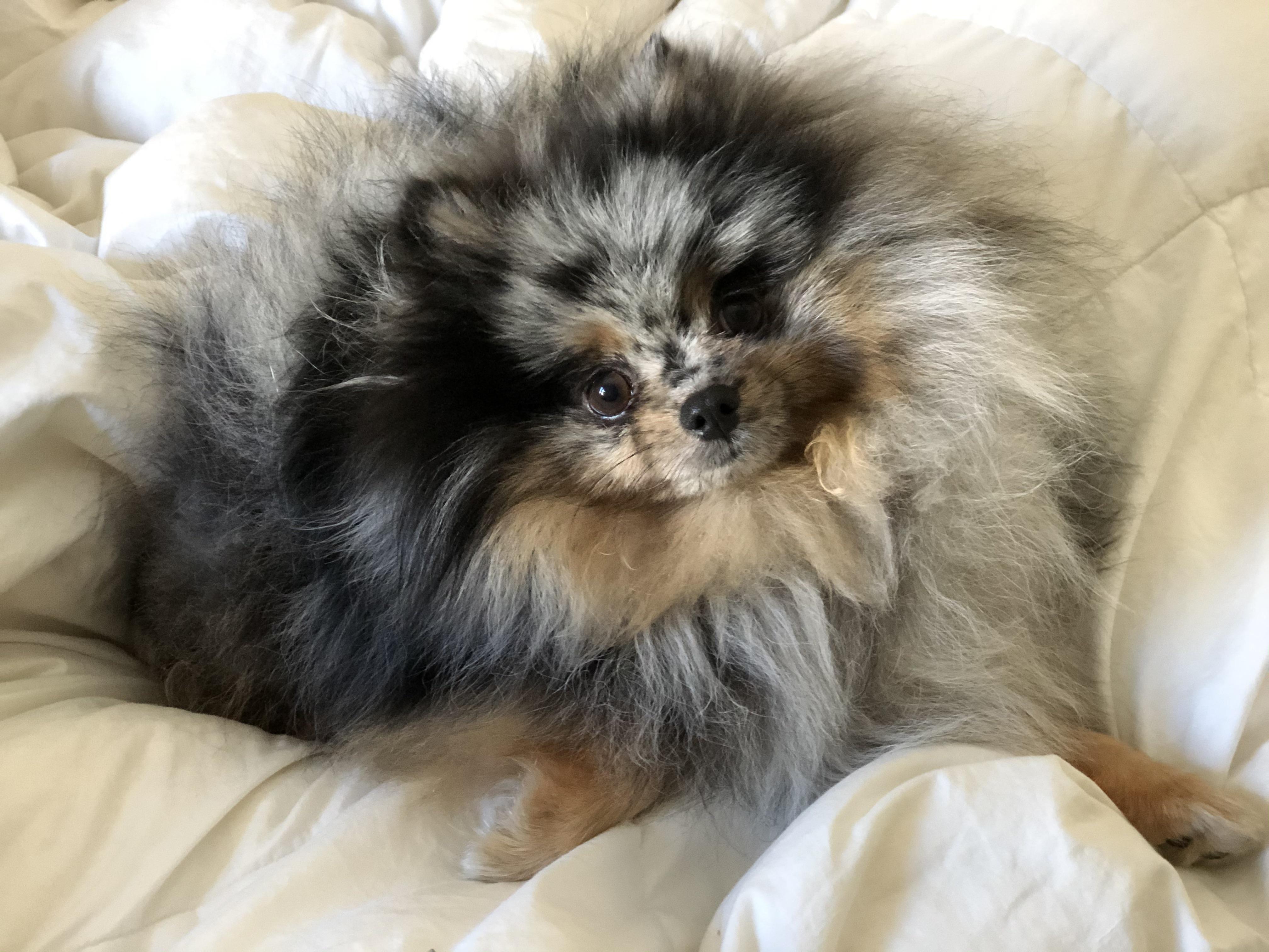 My beautiful boy. | Scrolller