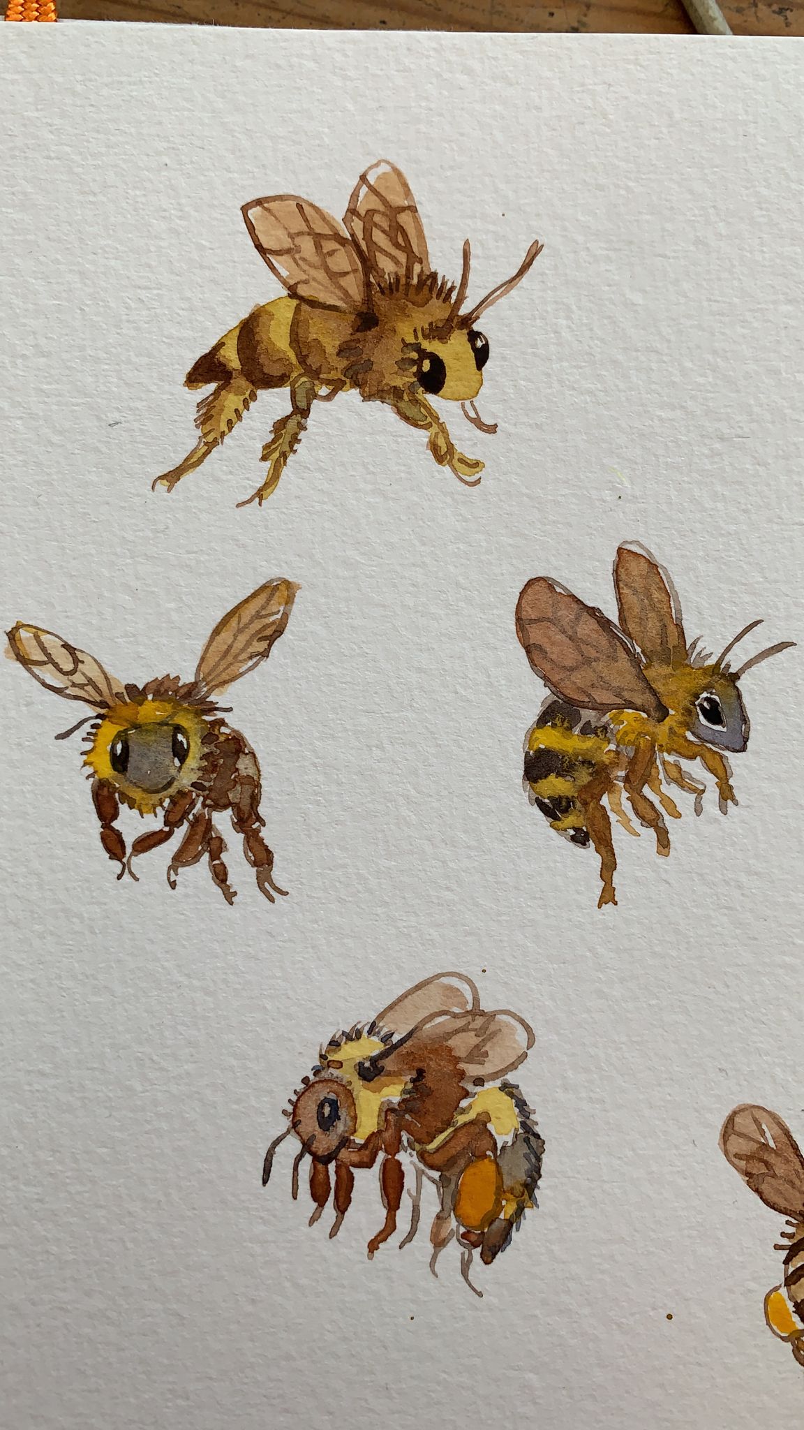 My bees! | Scrolller
