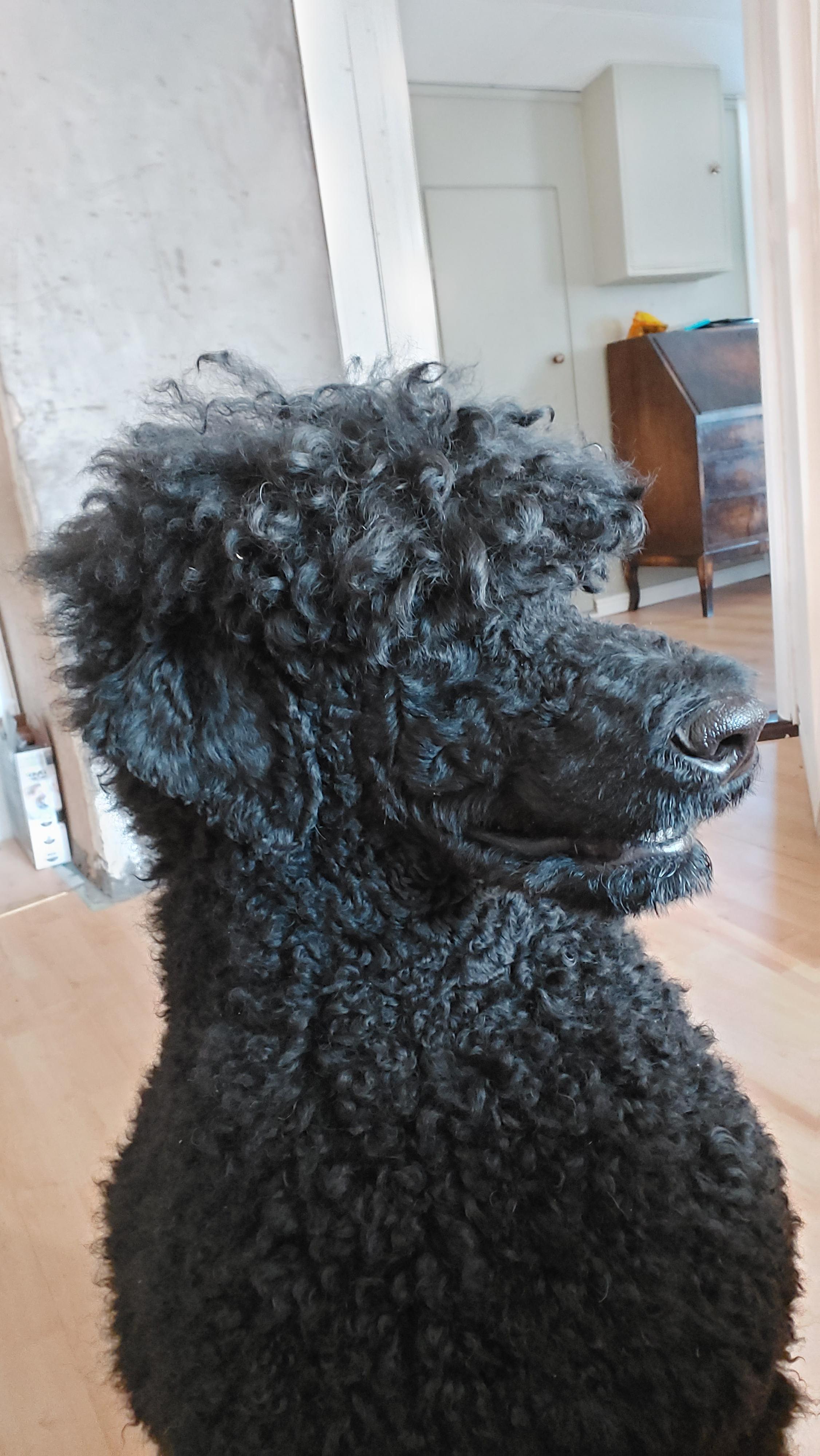 My best buddy | Scrolller