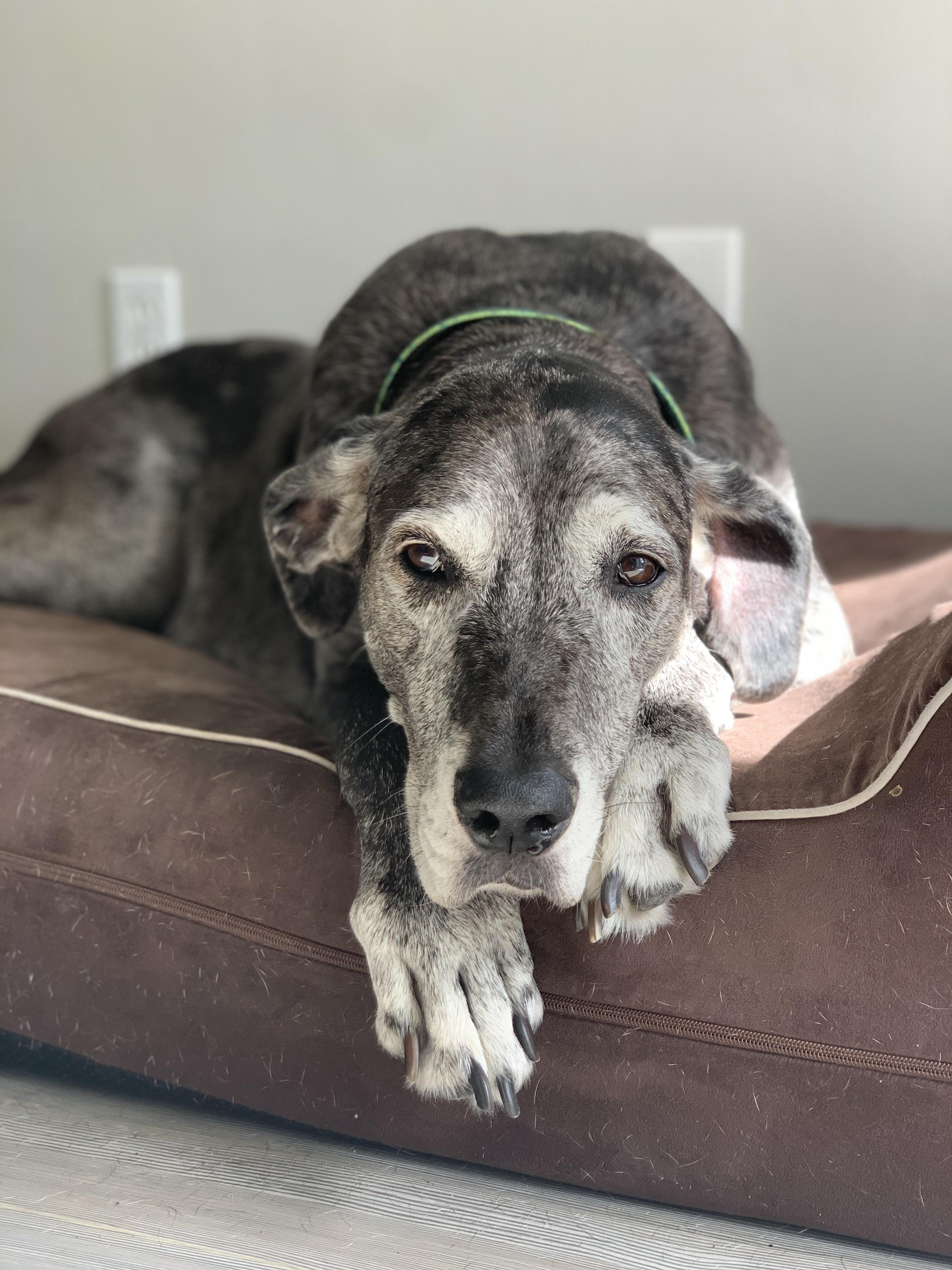 My best friend. | Scrolller