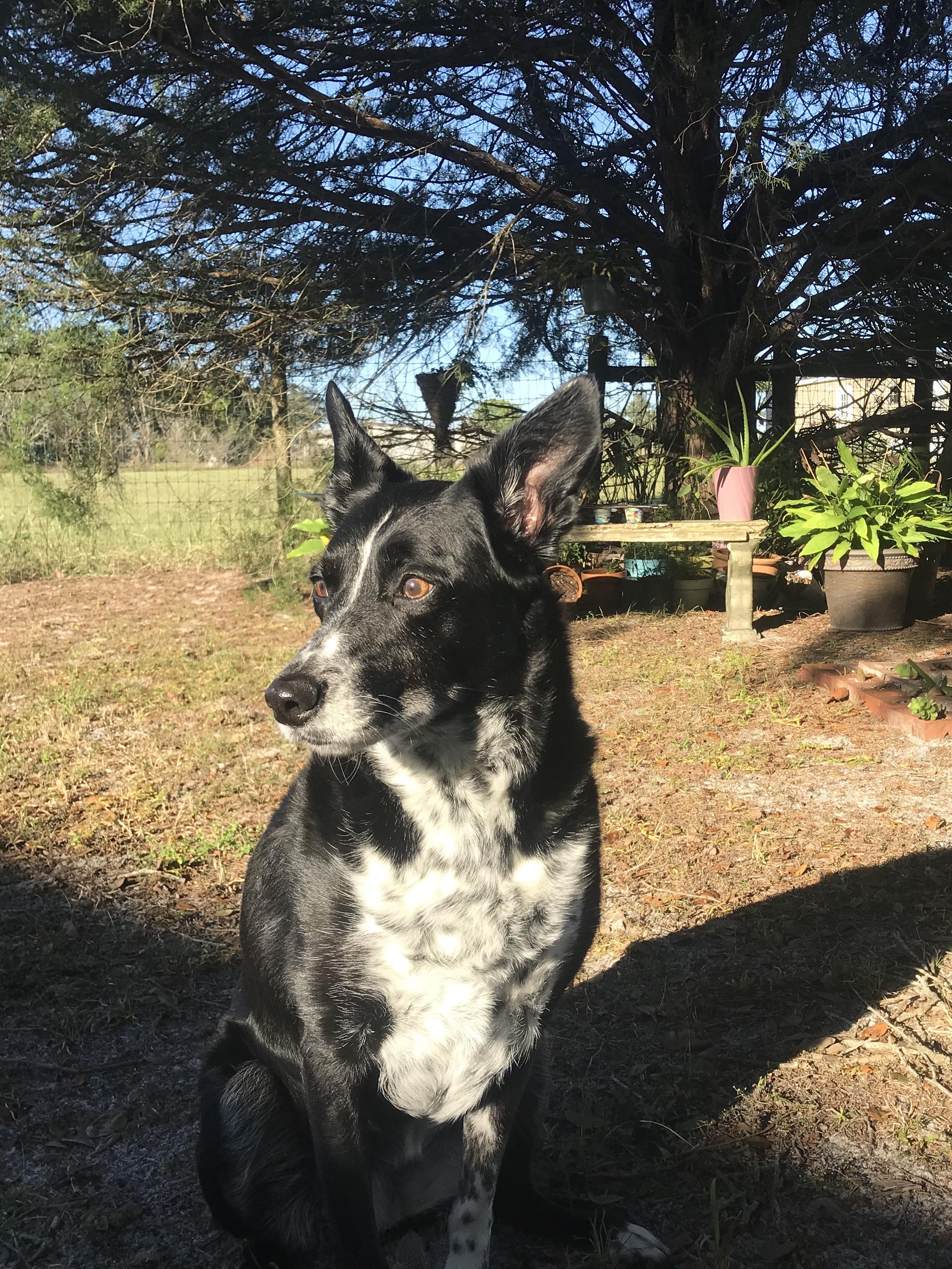 My best friend | Scrolller