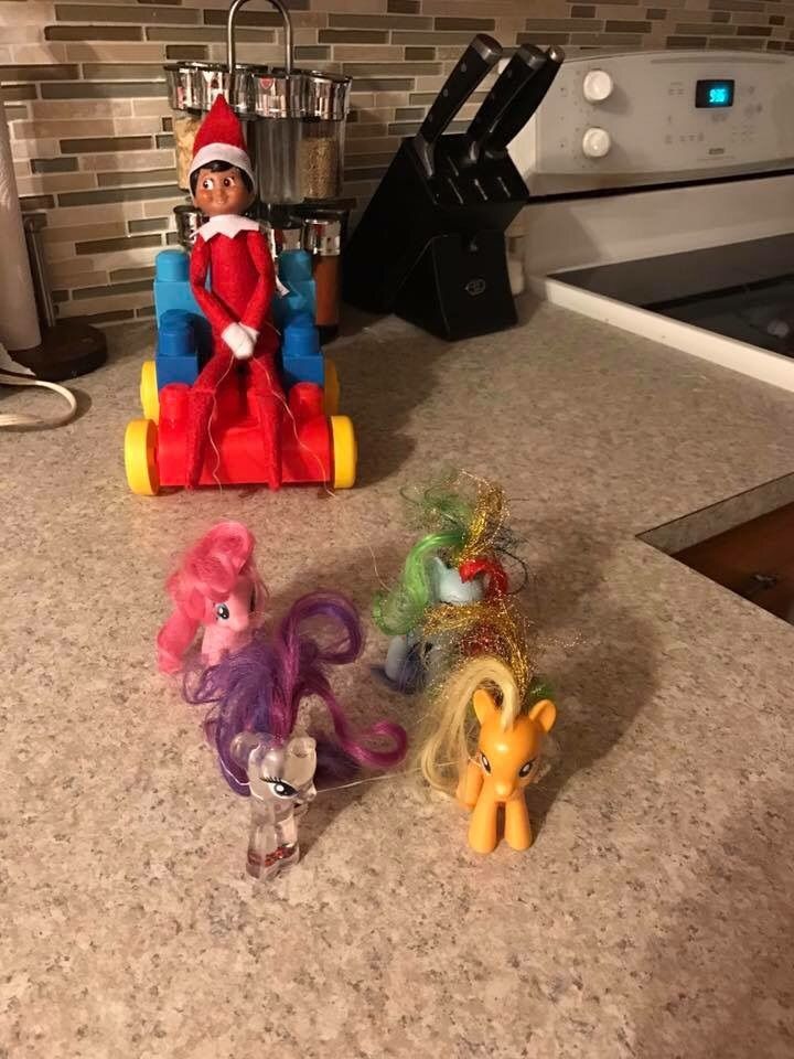 My boy George | Scrolller