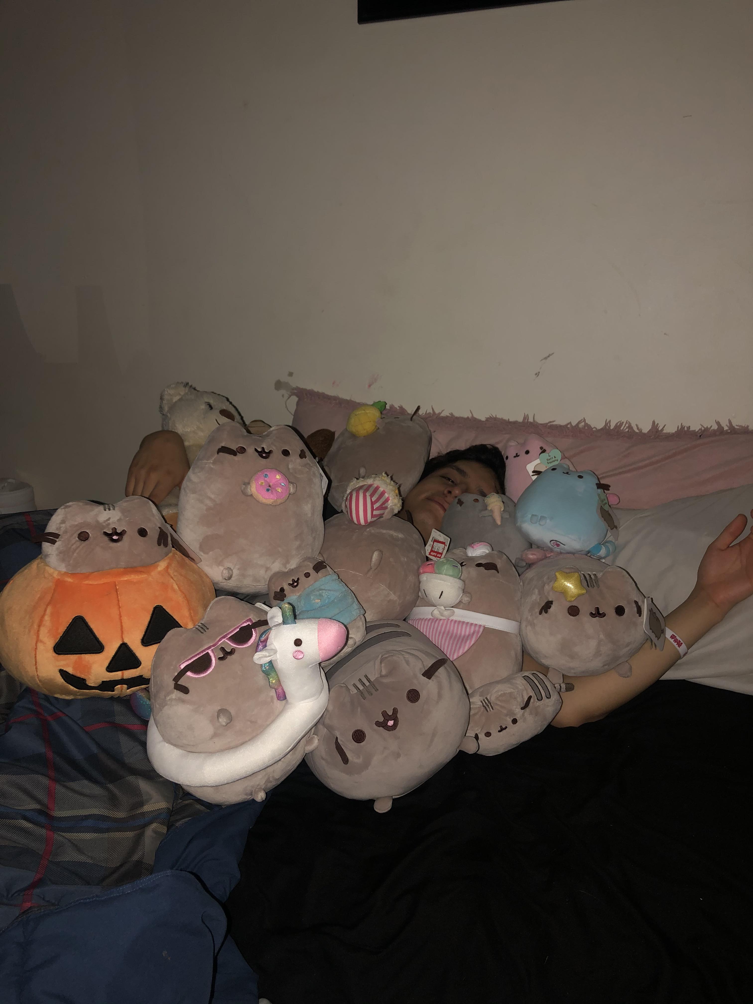 My boyfriend wanted to cuddle all of my plushies! | Scrolller