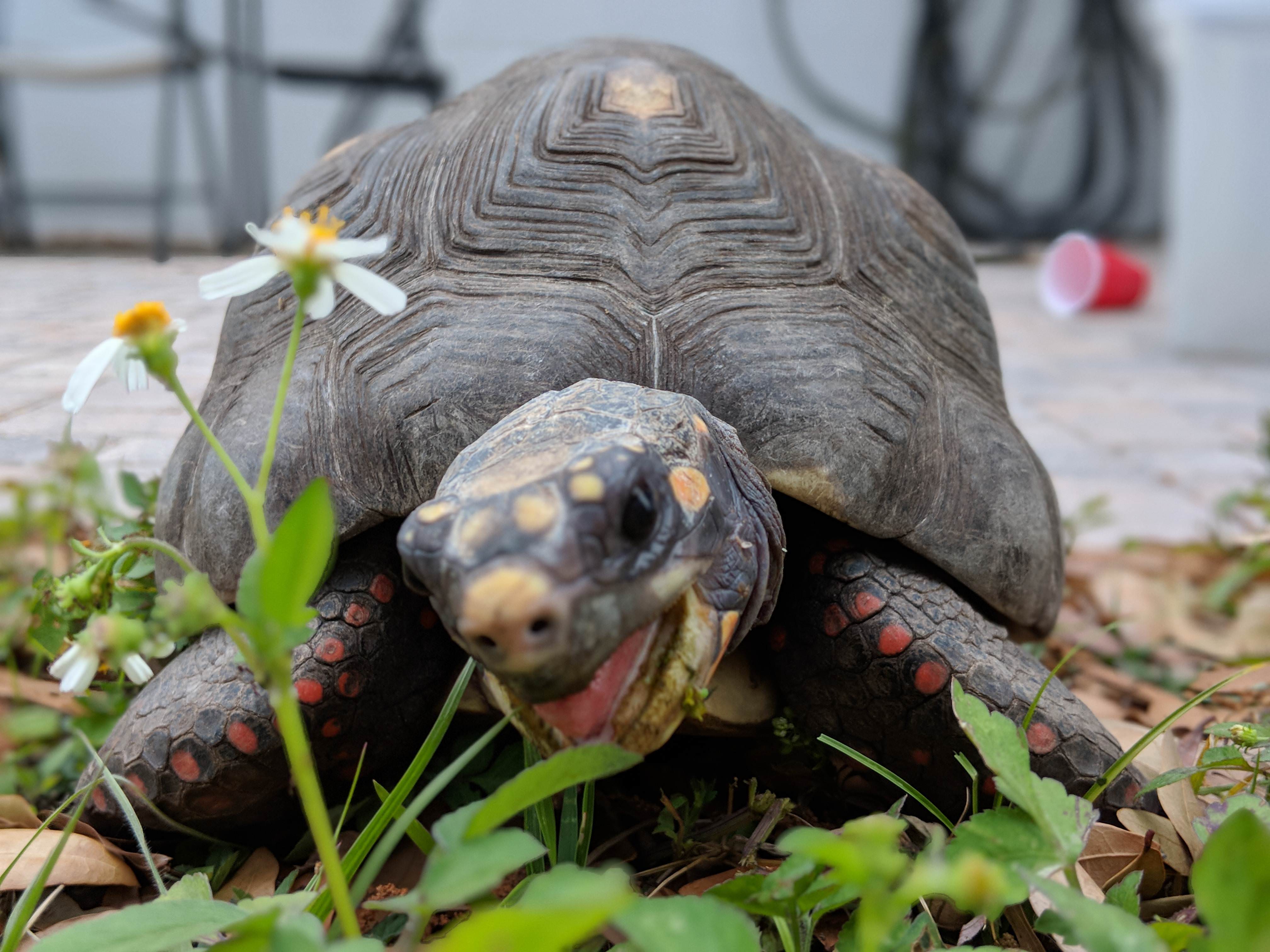 My buddy, Morty. | Scrolller