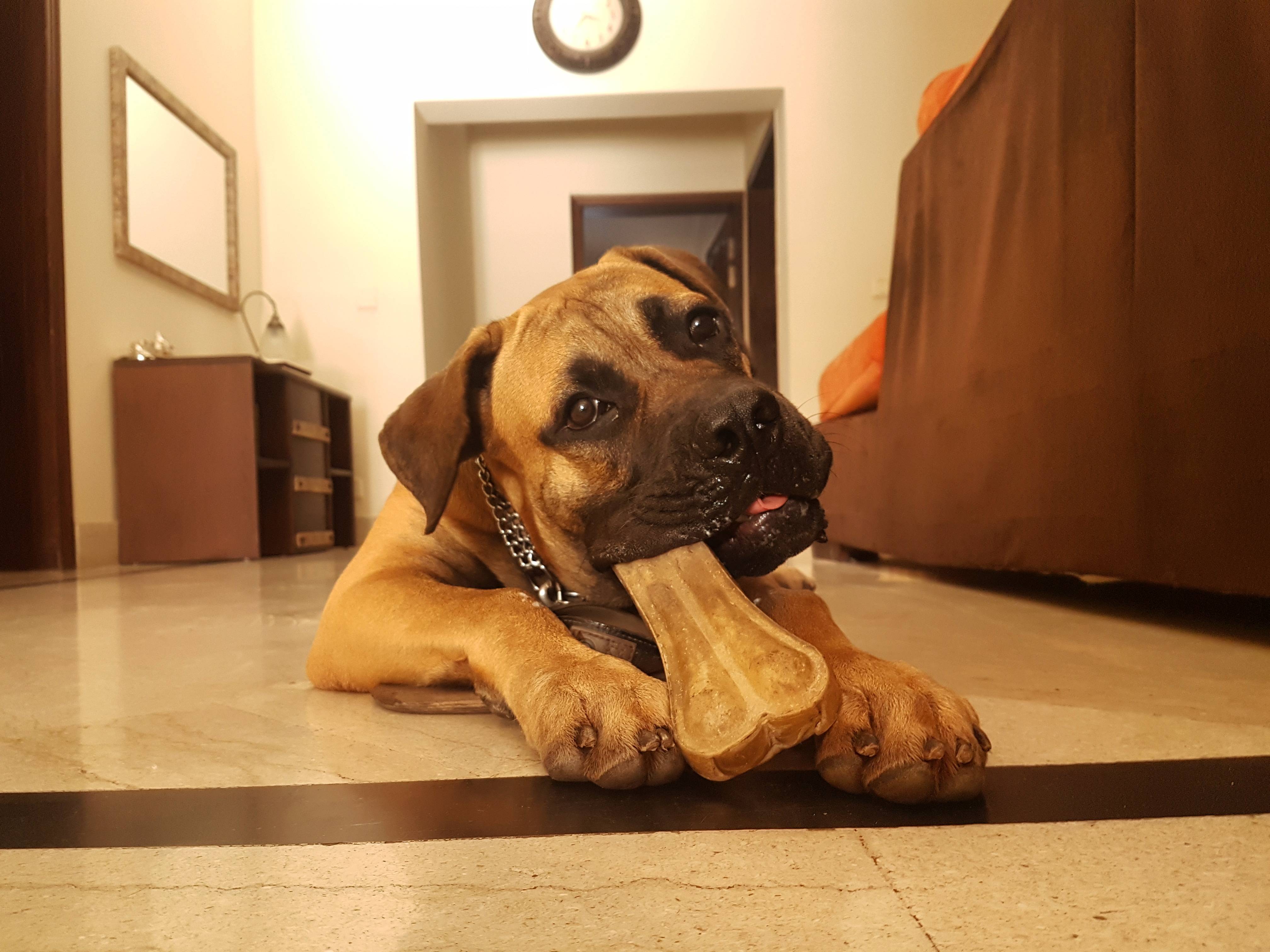 My buddy, Prabbu. | Scrolller