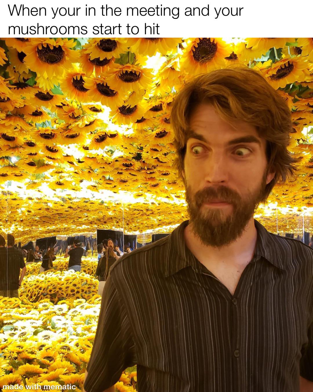 My buddy’s photo has some serious meme potential | Scrolller