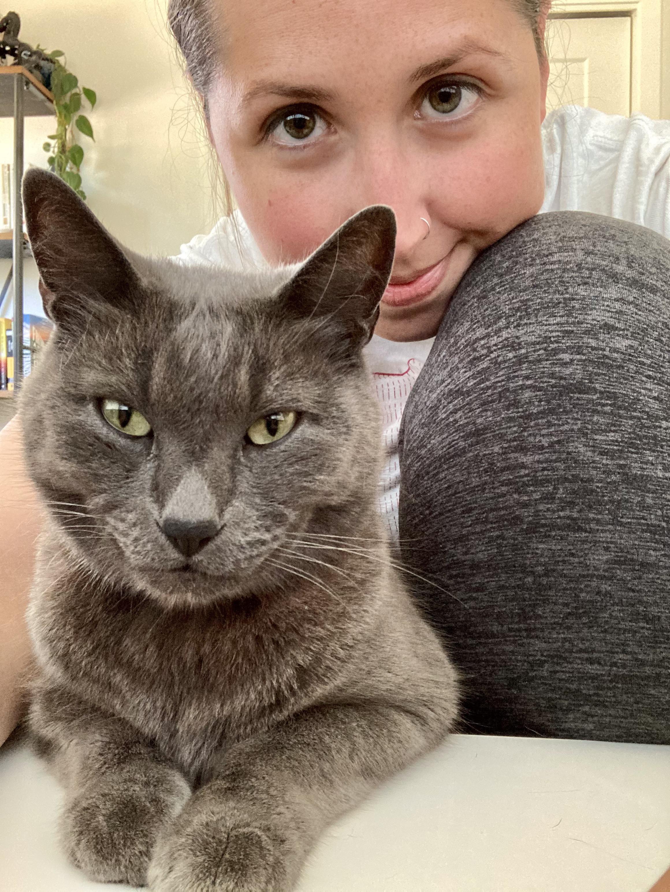 My cat’s cheekbones are 🔥 | Scrolller