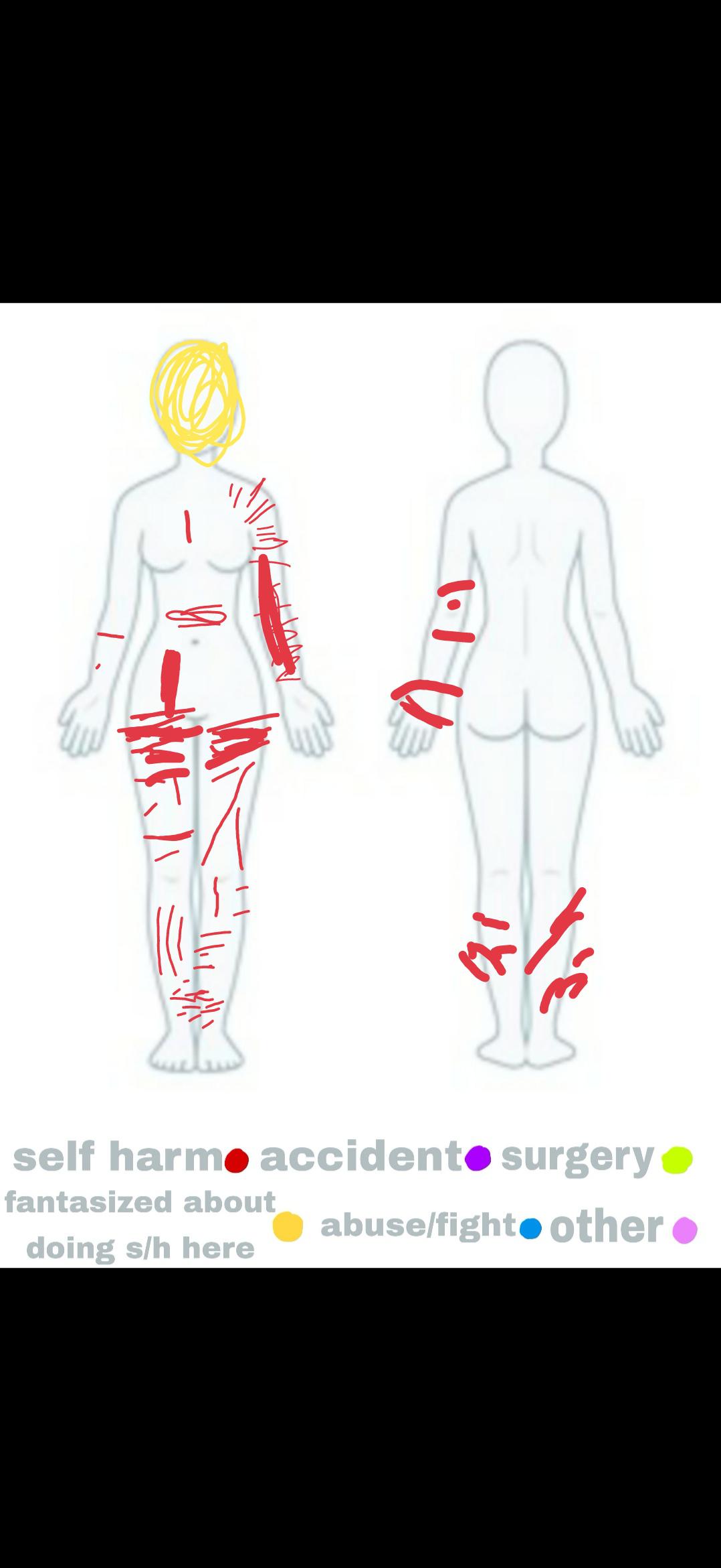 My crapppy body chart | Scrolller