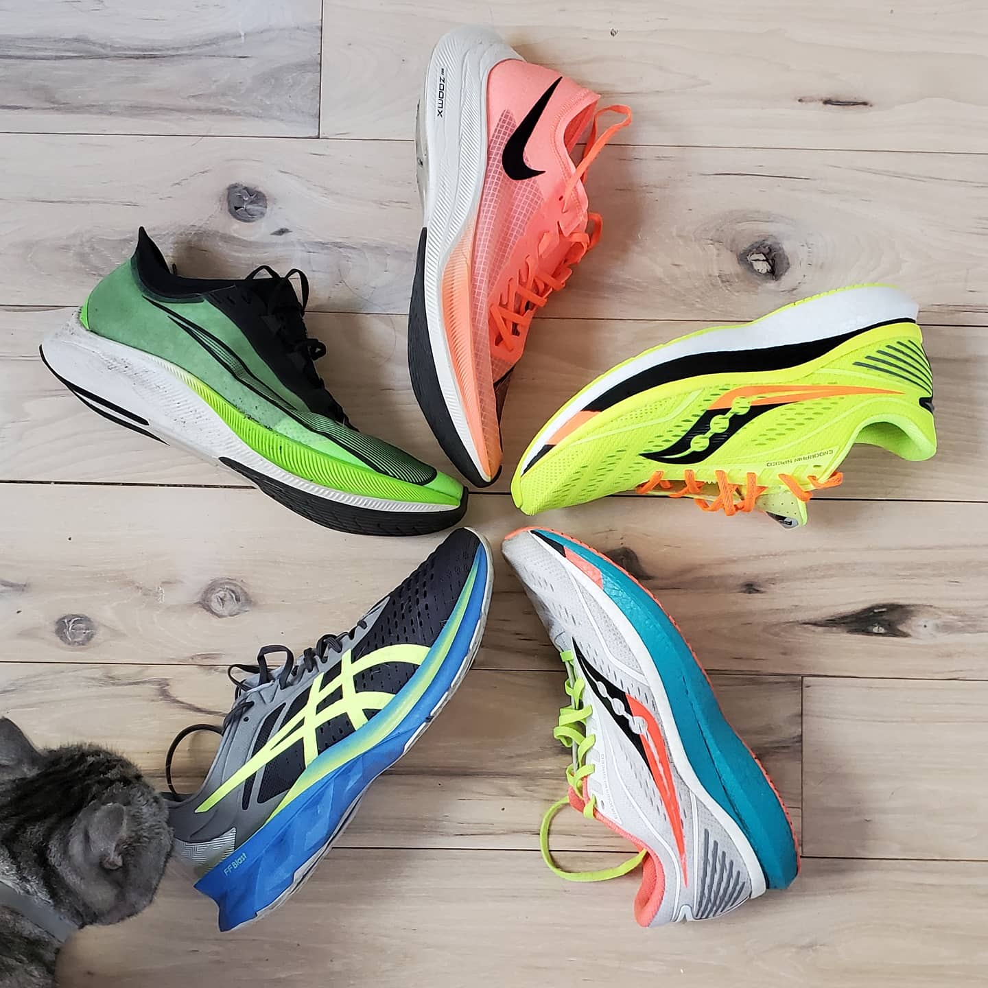 My Current Rotation | Scrolller