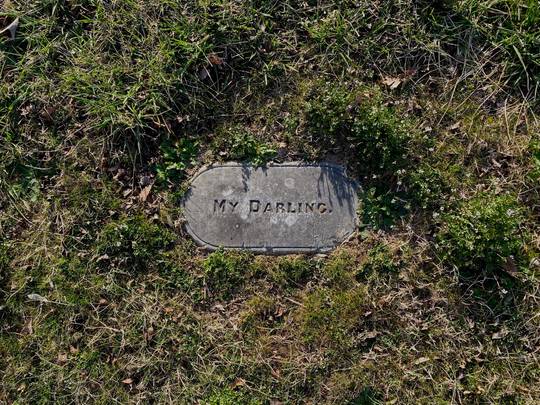 My Darling Scrolller