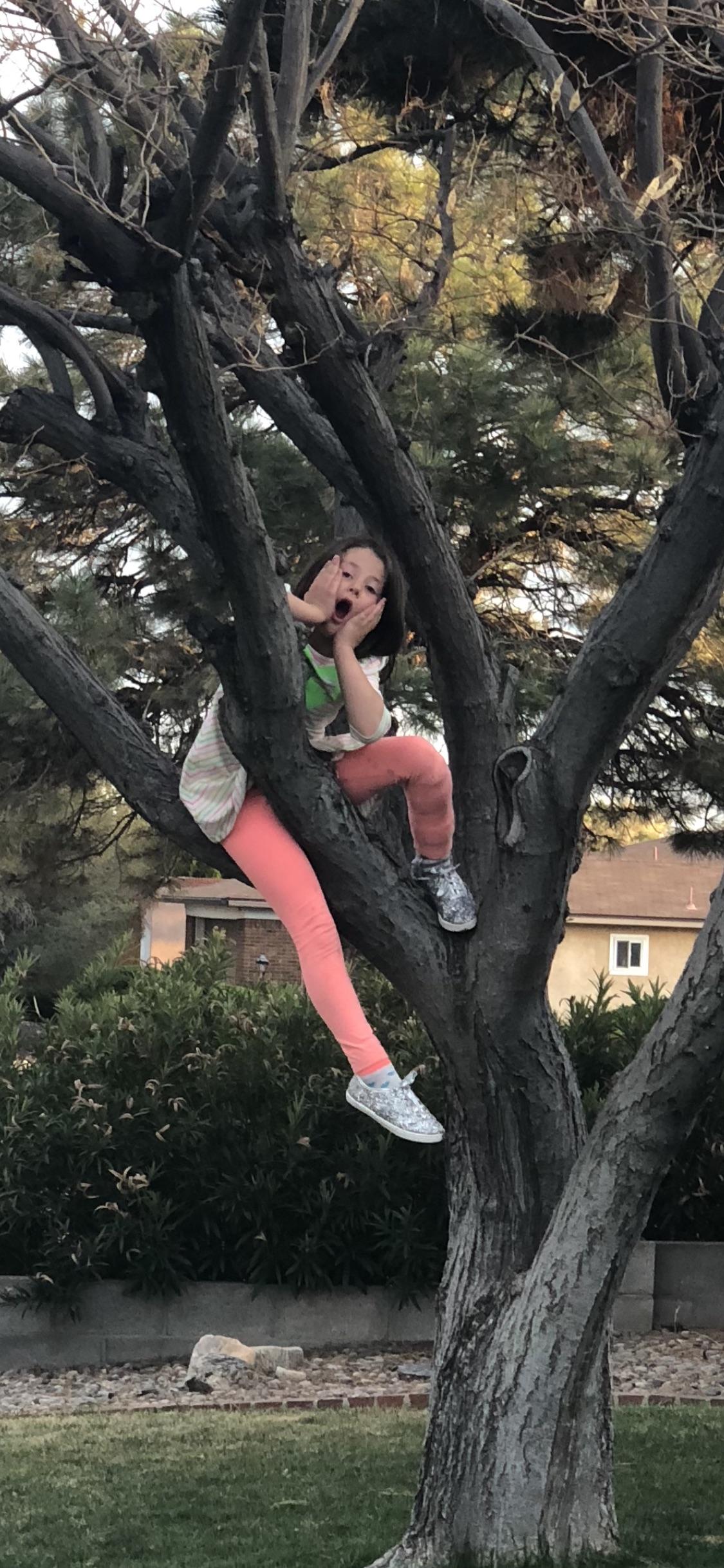 My daughter posing in a mimosa tree | Scrolller